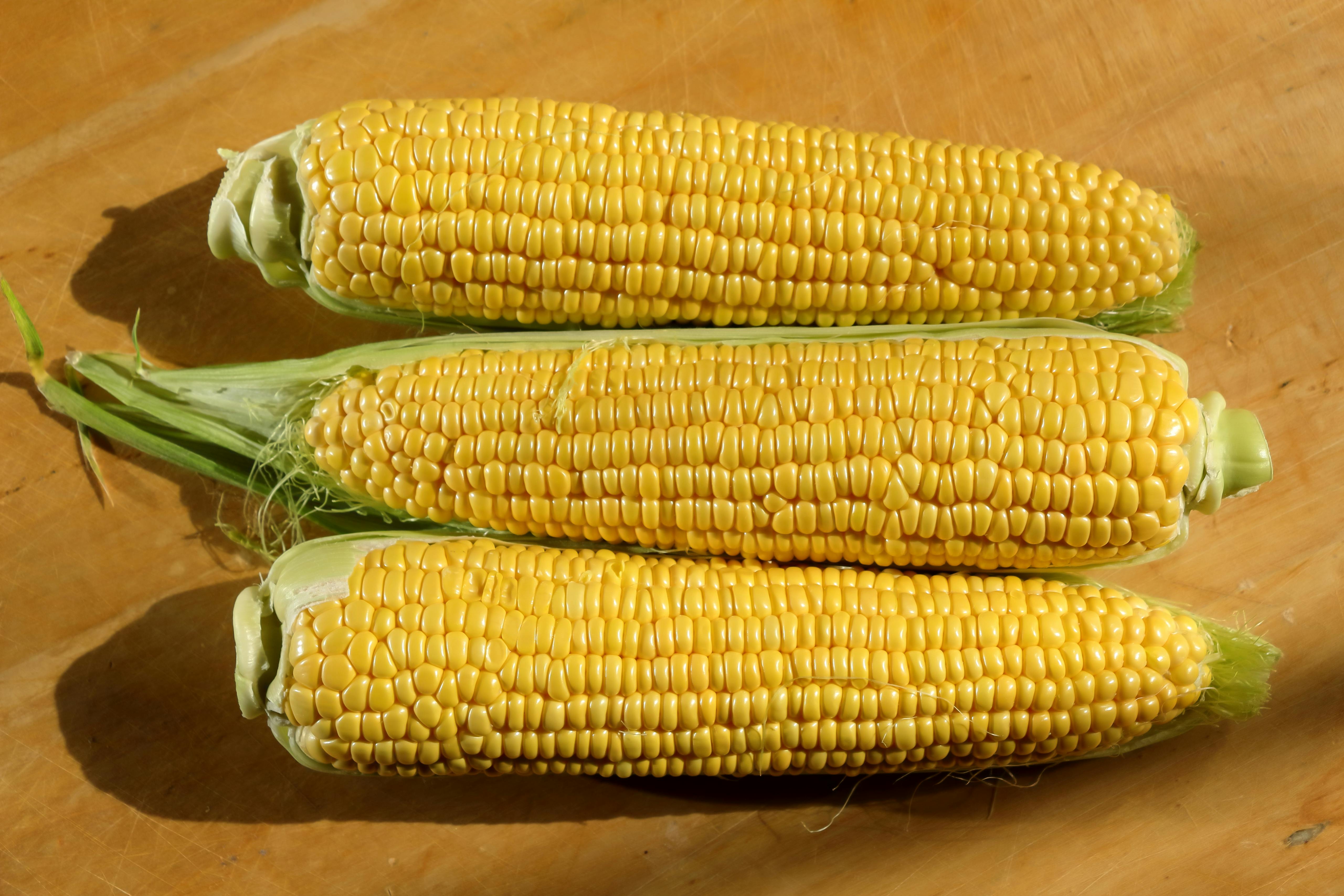 Candy Corn Photos, Download The BEST Free Candy Corn Stock Photos & HD ...