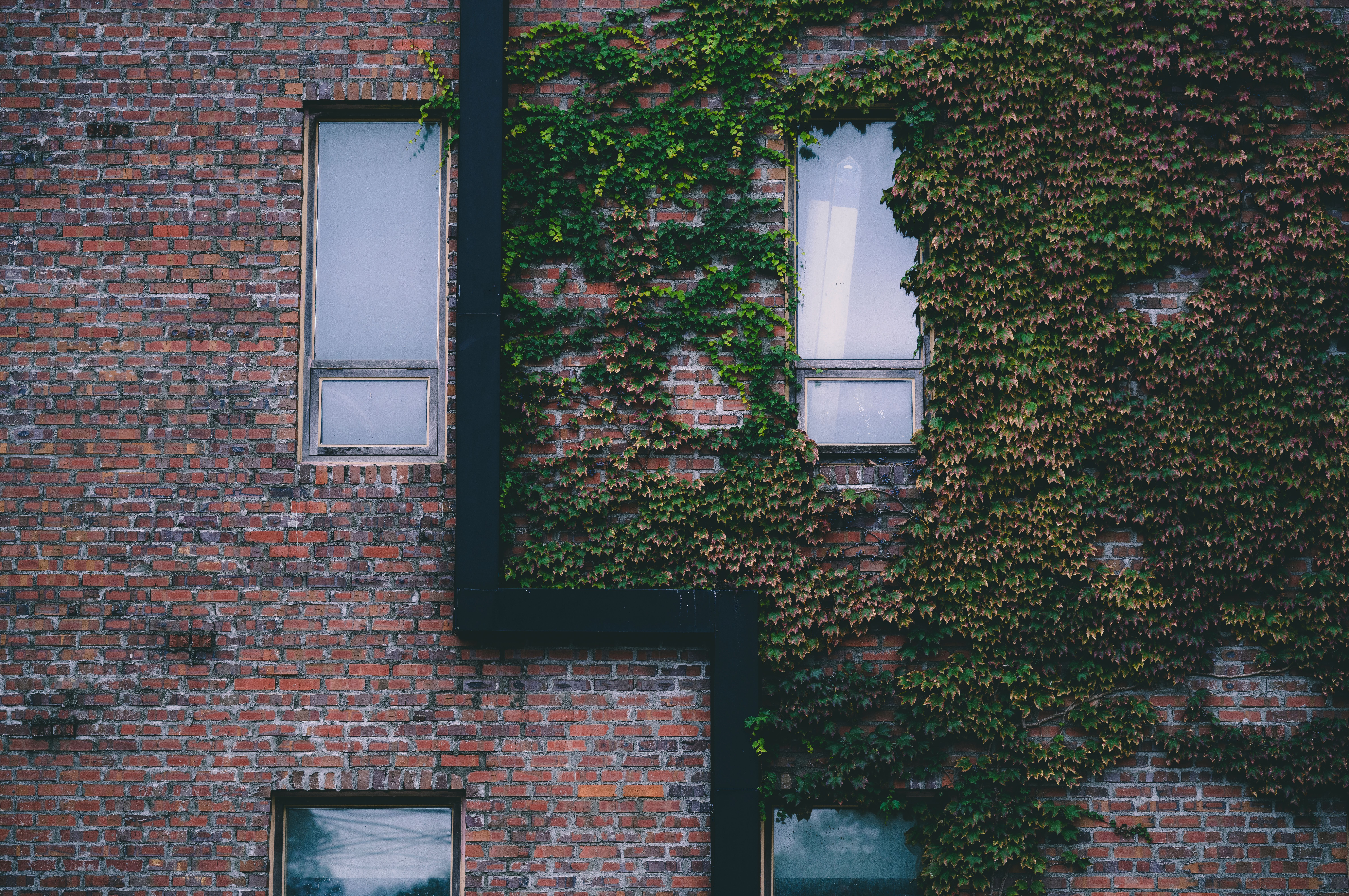 Building Wall Photos, Download The BEST Free Building Wall Stock Photos ...