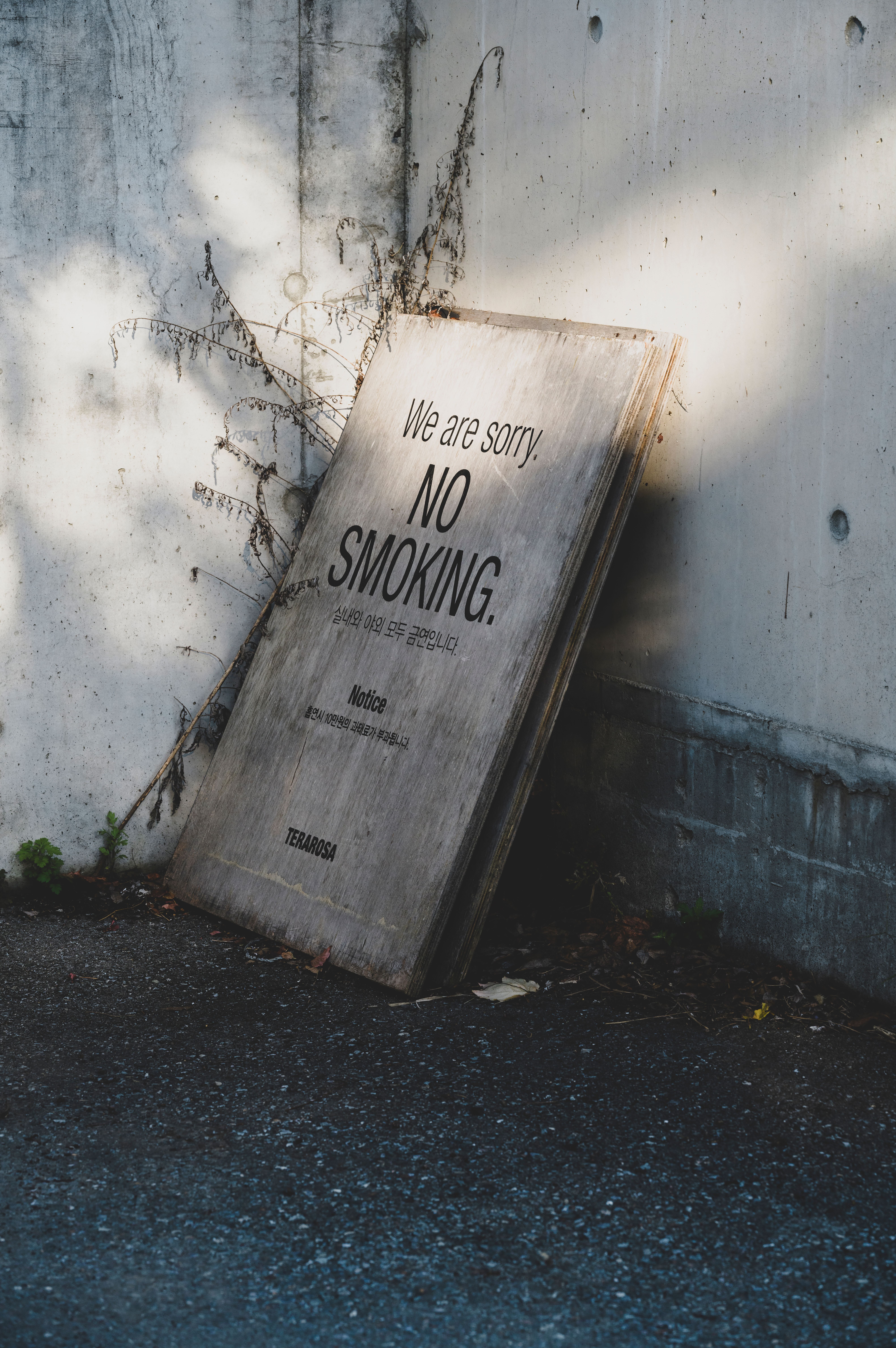 Suck+No Photos, Download The BEST Free Suck+No Stock Photos & HD Images