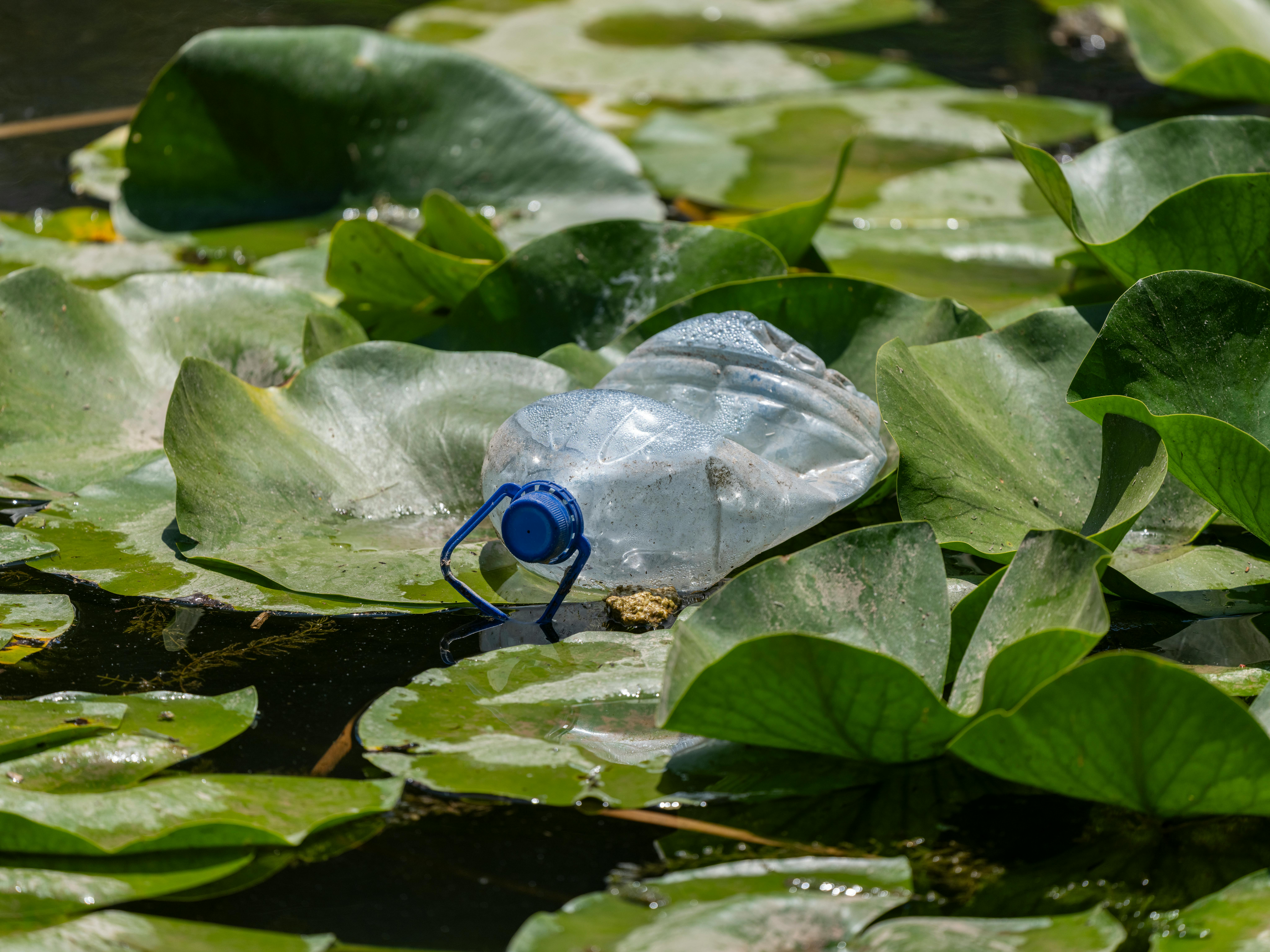 Dirty Photos, Download The BEST Free Dirty Stock Photos & HD Images