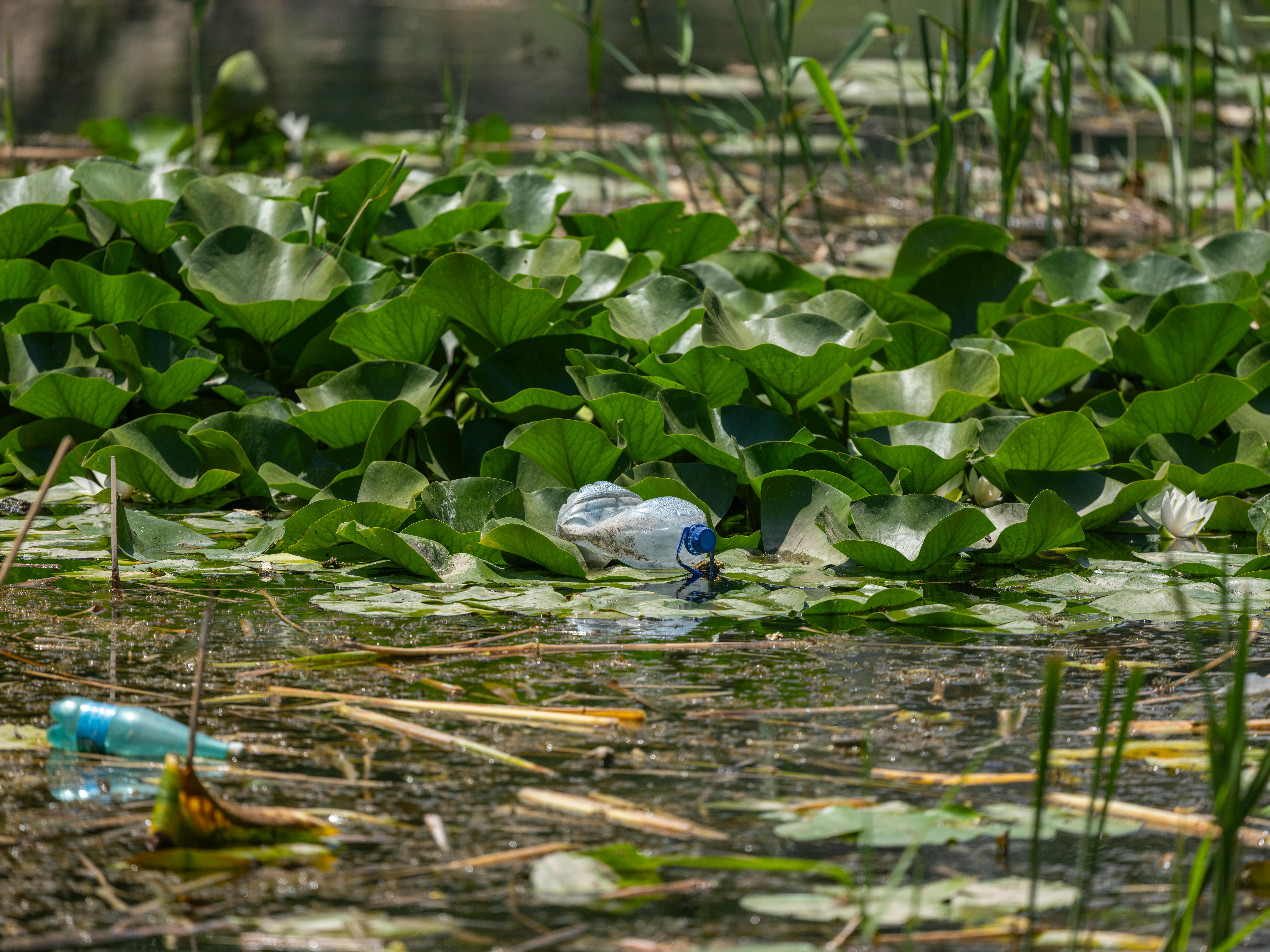 Dirty Photos, Download The BEST Free Dirty Stock Photos & HD Images