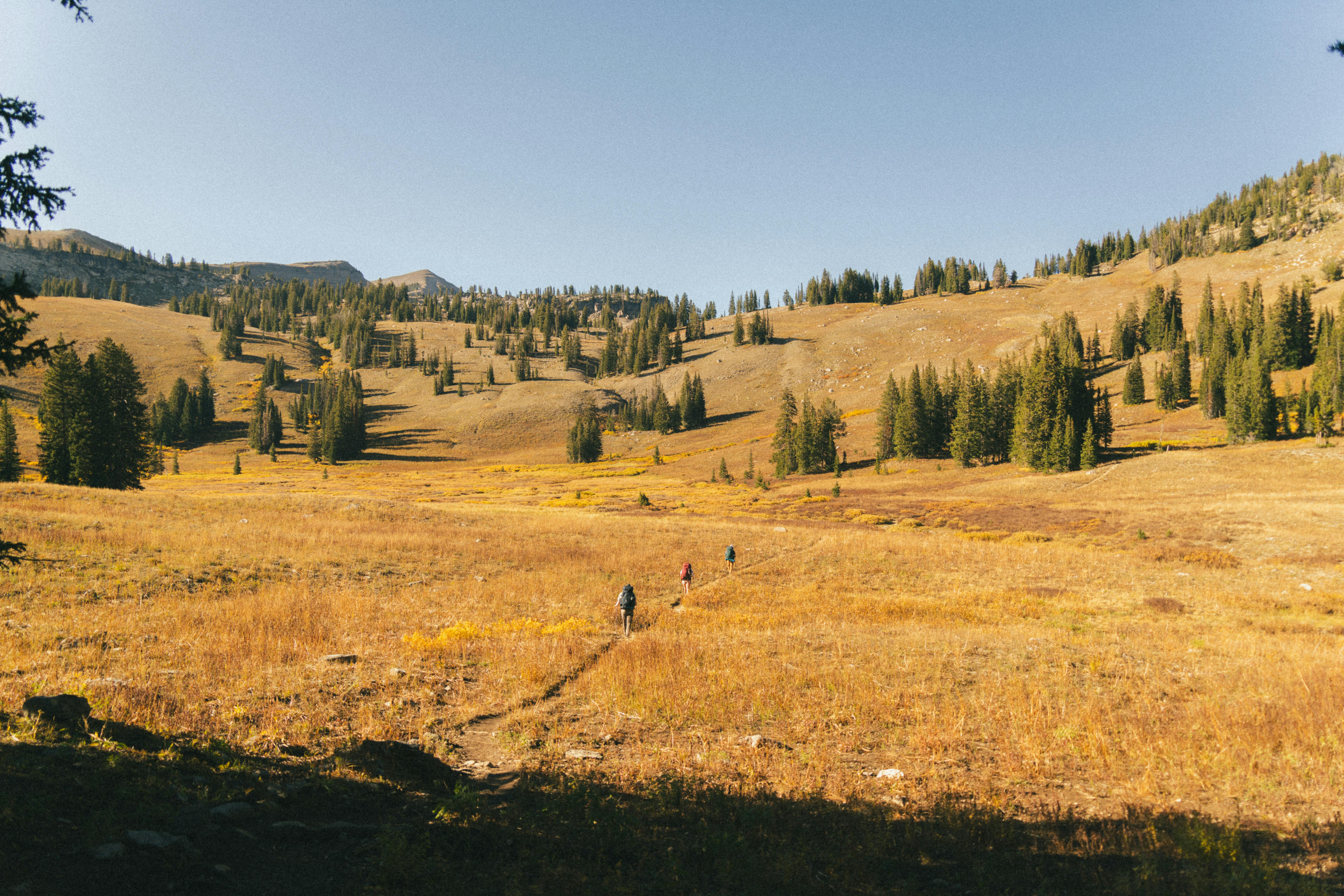 Hikers Exploring Autumn Landscape in Wyoming · Free Stock Photo