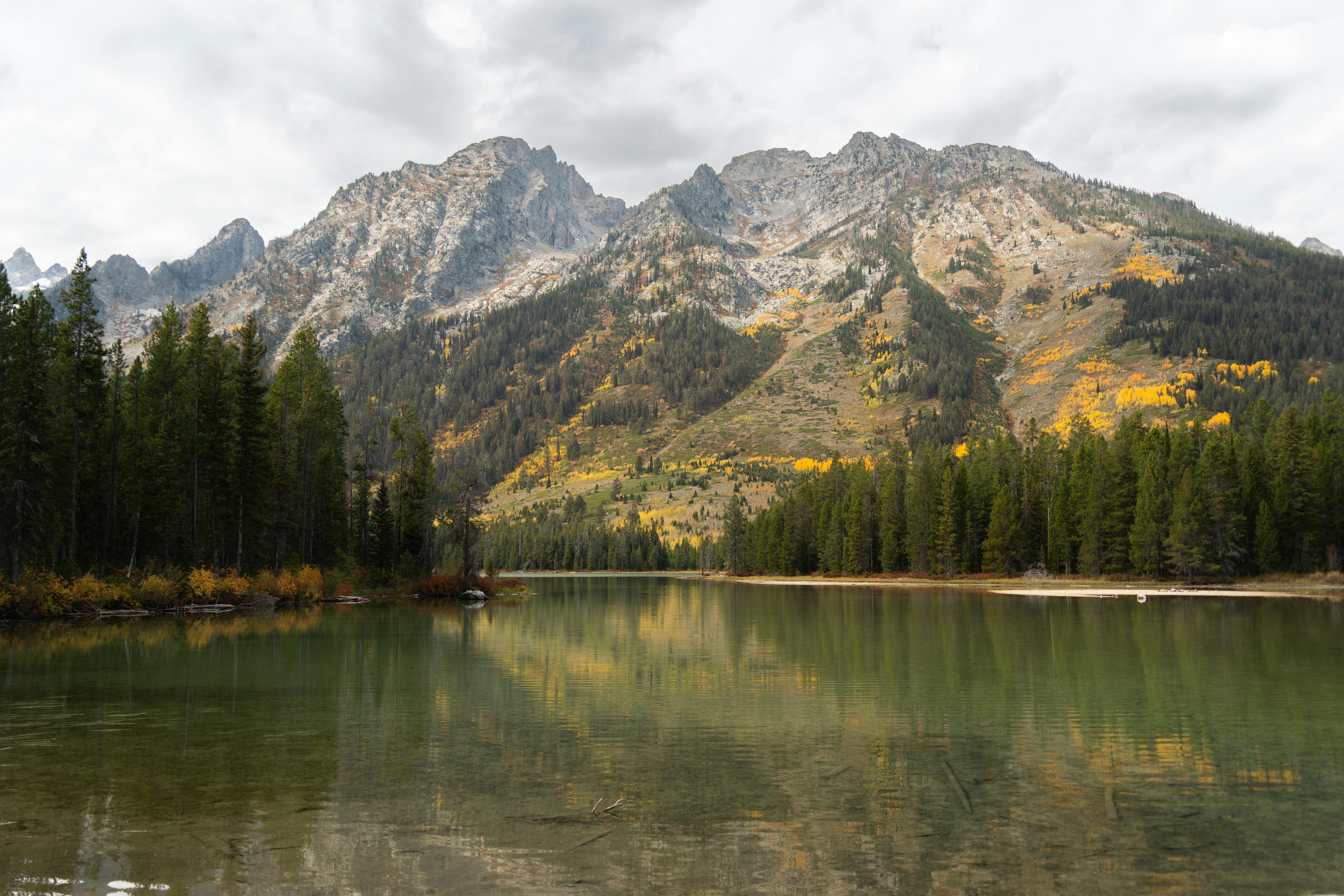 Foto de stock gratuita sobre agua azul, agua serena, álamo temblón ...