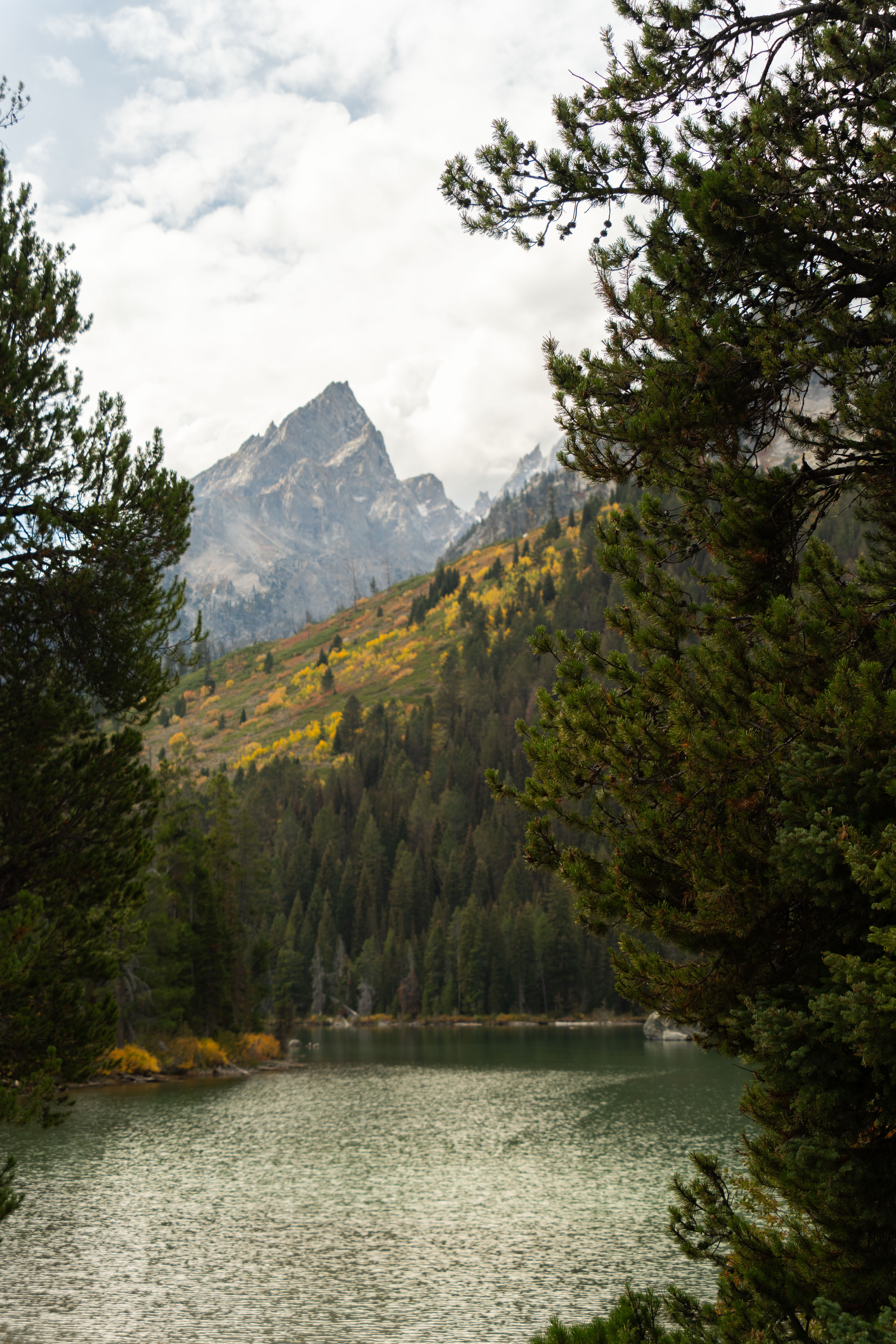 Scenic View of Grand Teton National Park in Autumn · Free Stock Photo