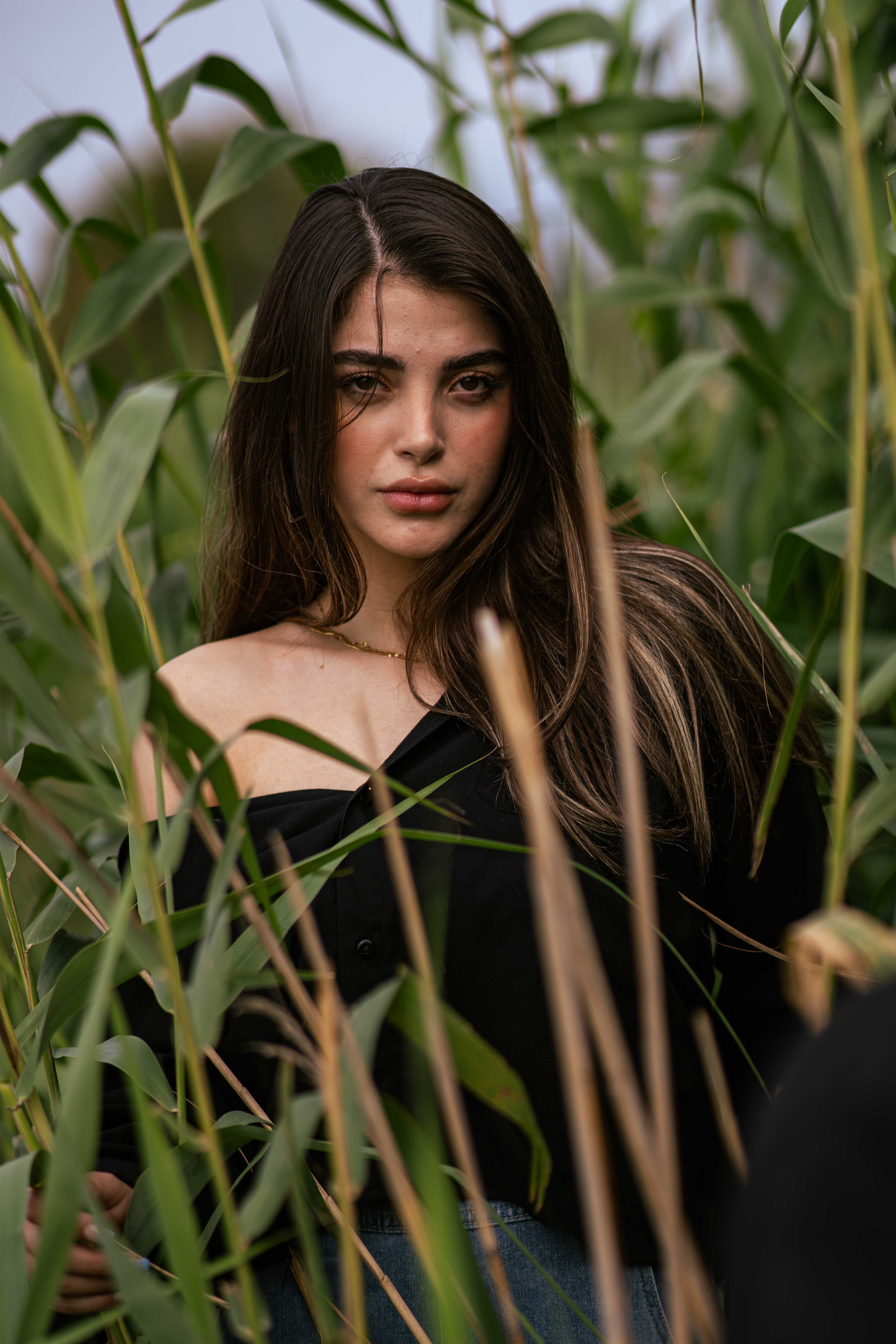 Portrait of Woman in Greenery in Golestan Province · Free Stock Photo