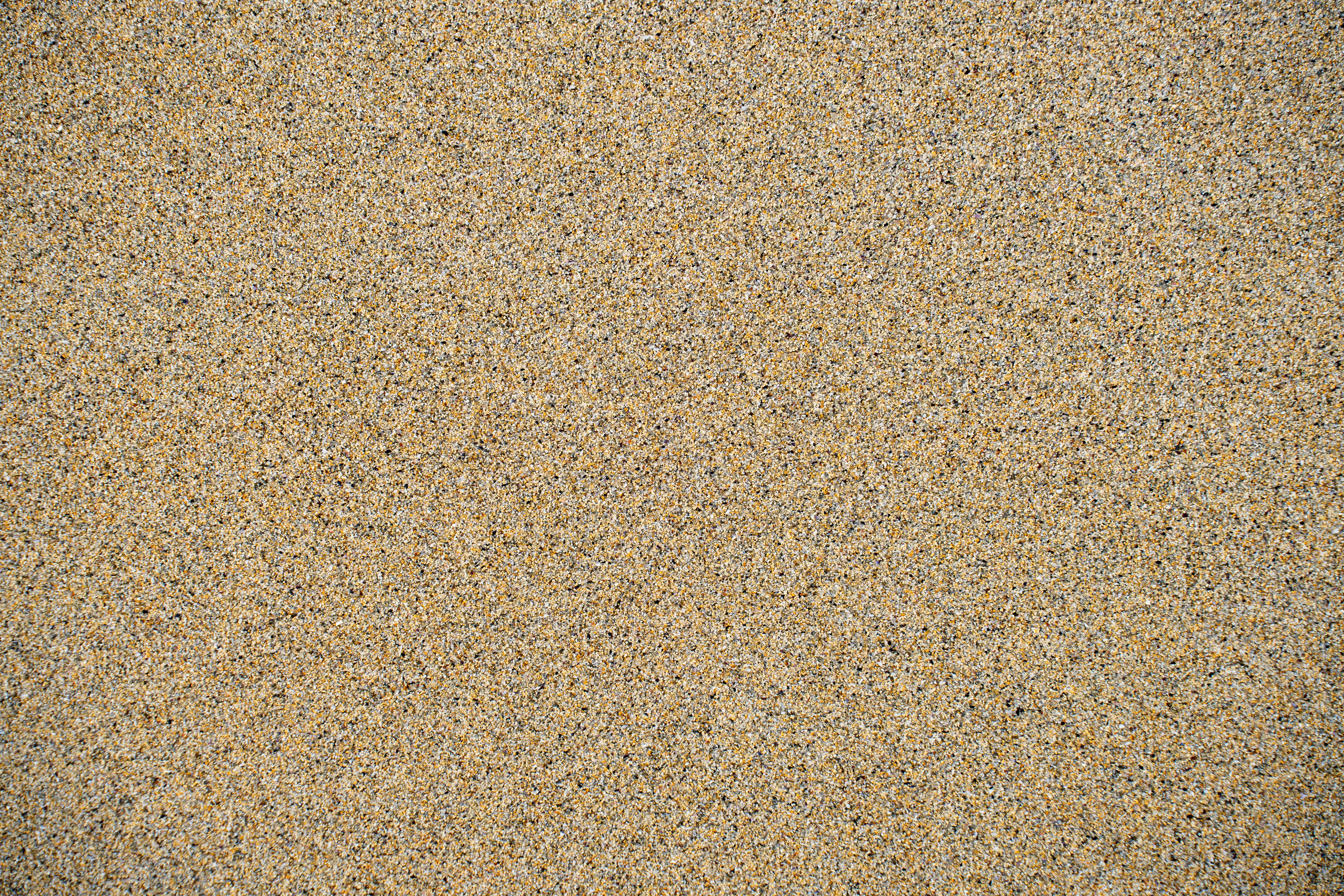 Sable · Foto de stock gratuita