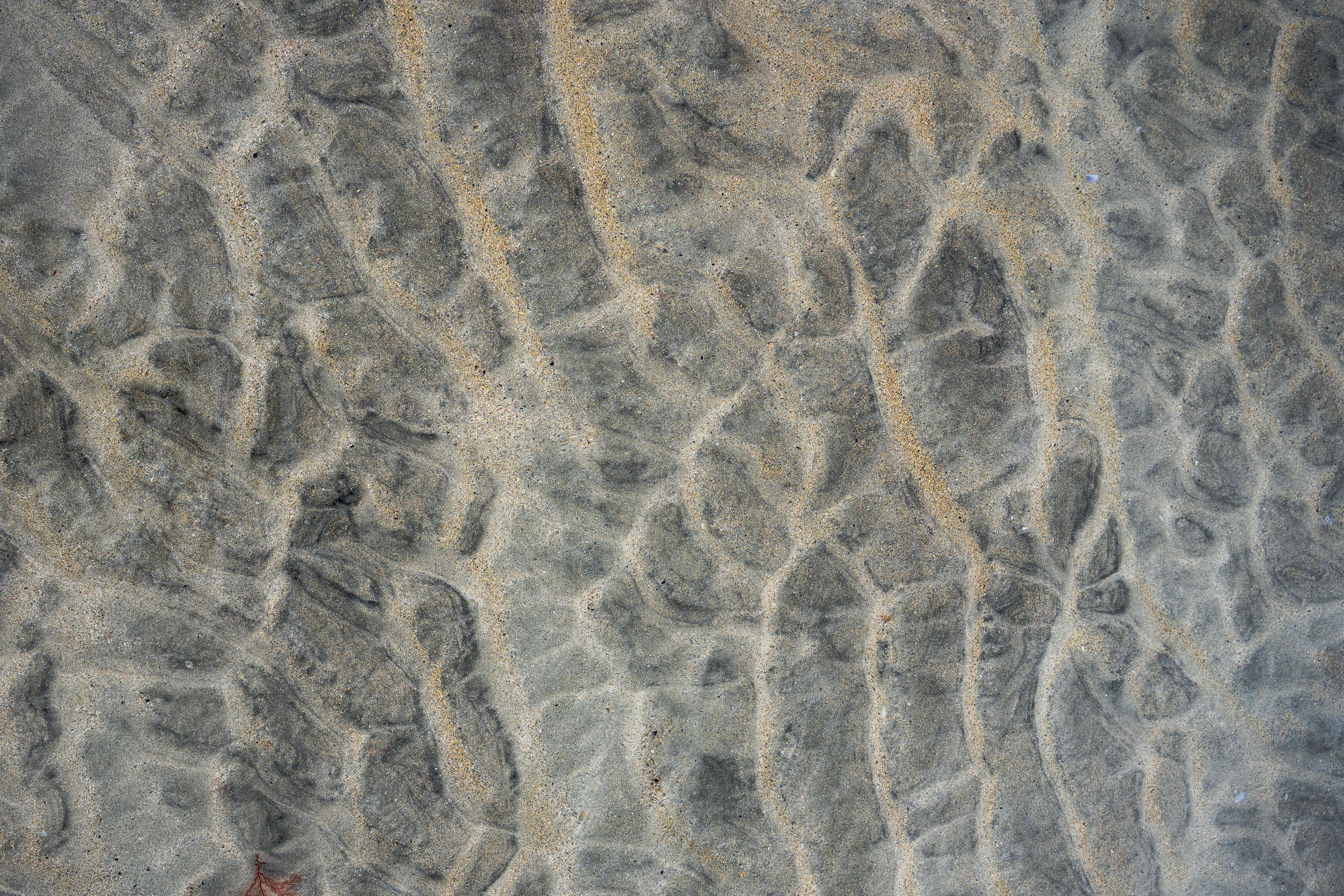 Island Texture Photos, Download The BEST Free Island Texture Stock ...