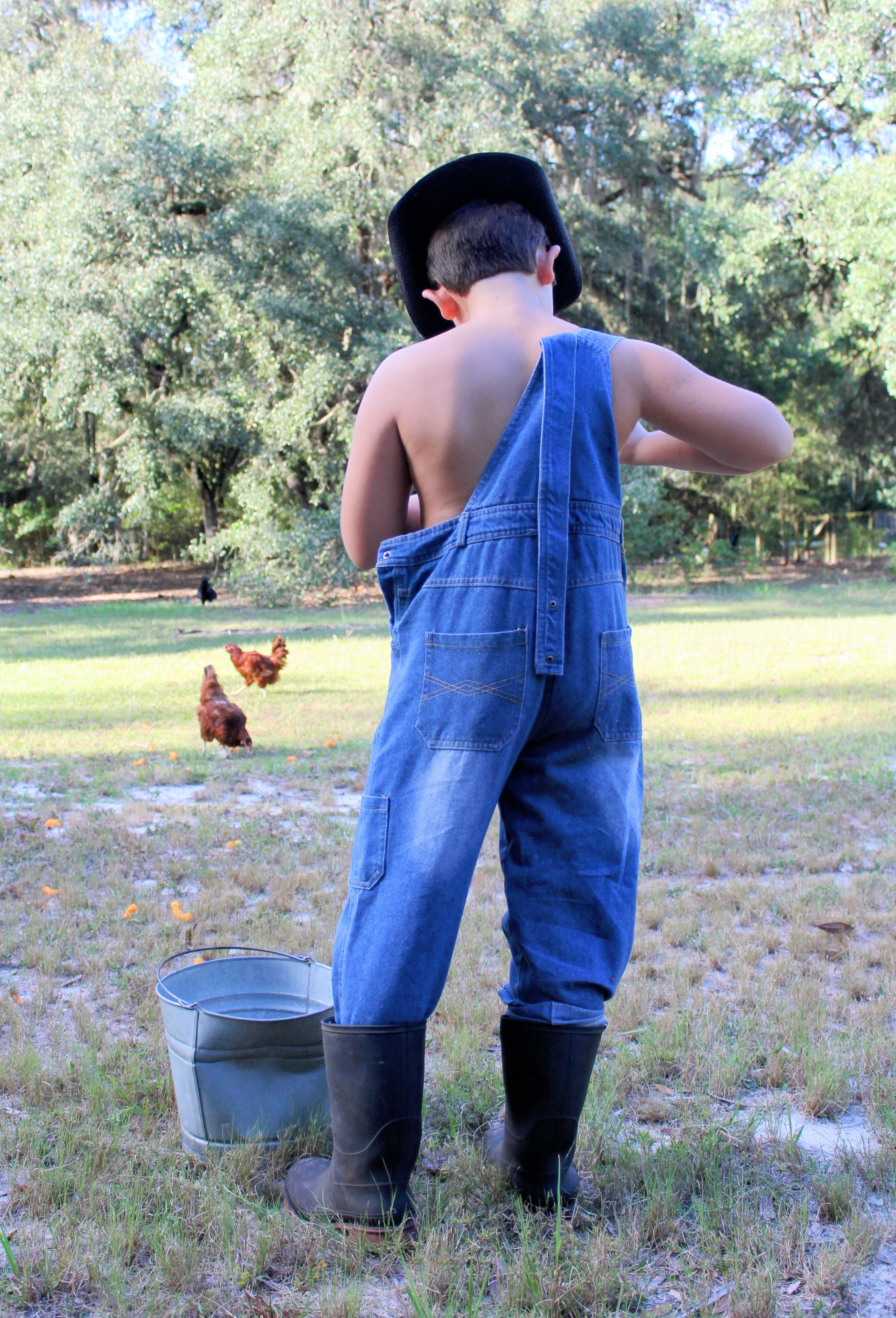 Young Boy in Overalls on a Farm with Chickens · Free Stock Photo