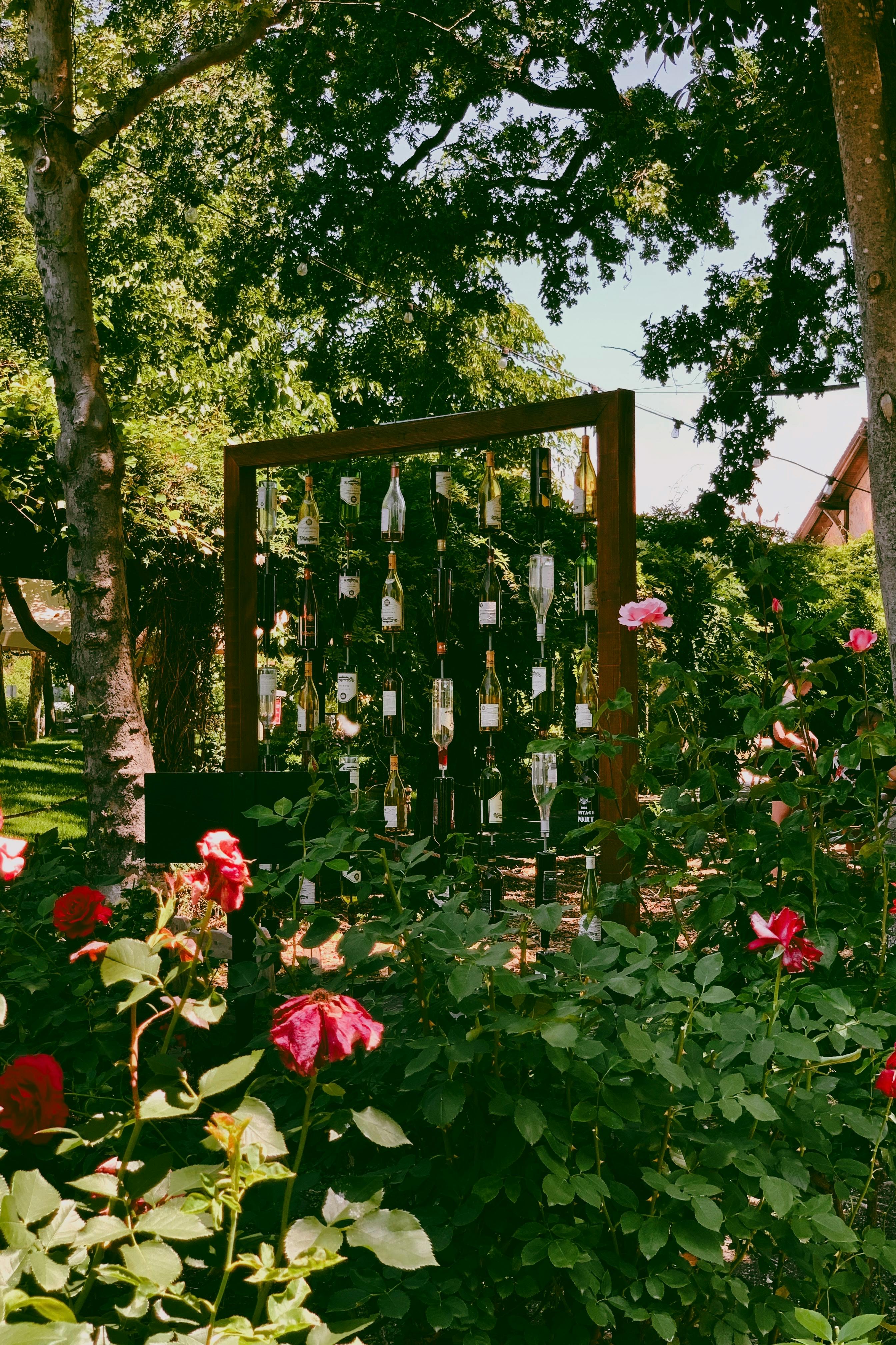 Rose-Covered Pergola in Sunny Outdoor Garden · Free Stock Photo