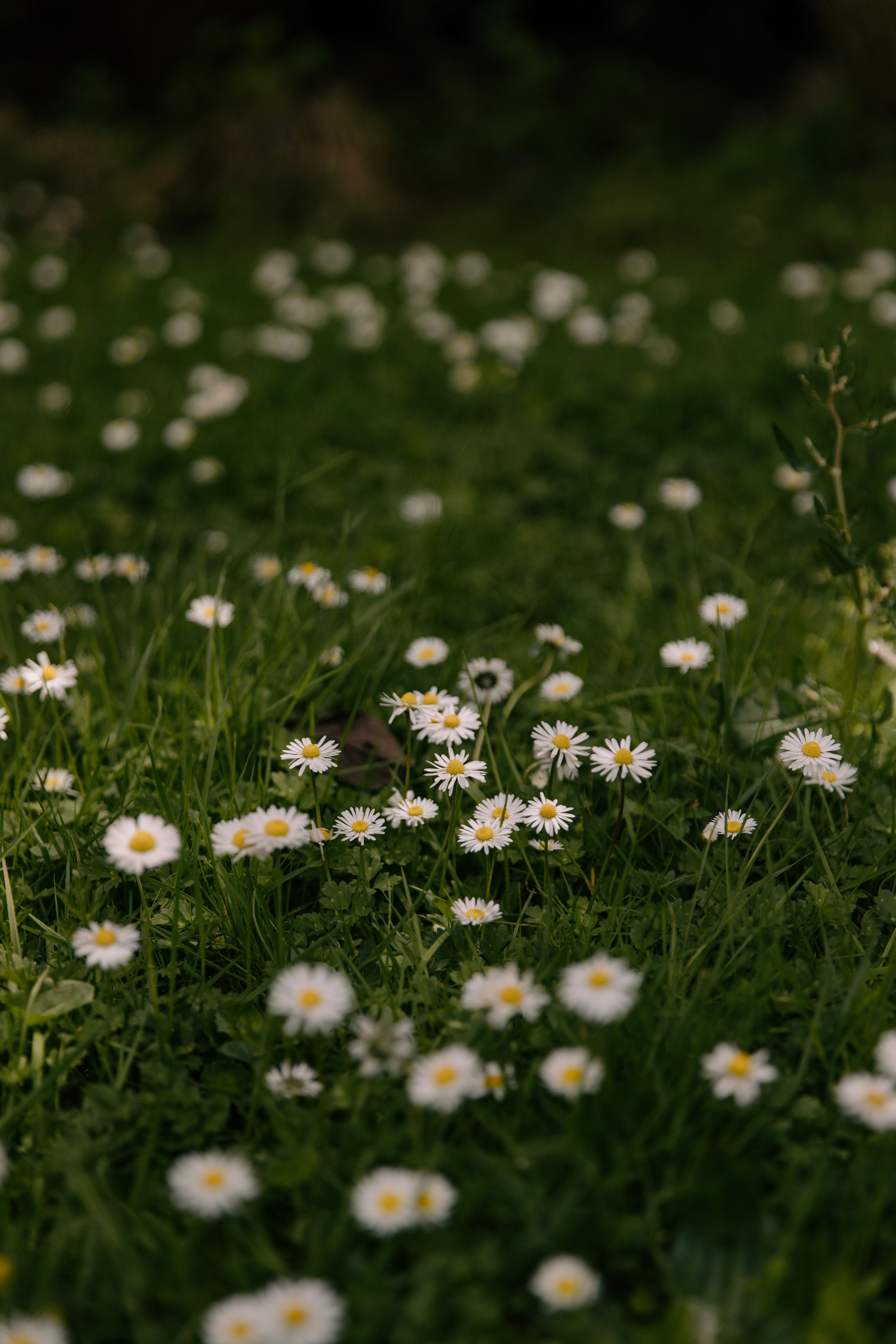 Ayush Wallpaper Photos, Download The BEST Free Ayush Wallpaper Stock ...