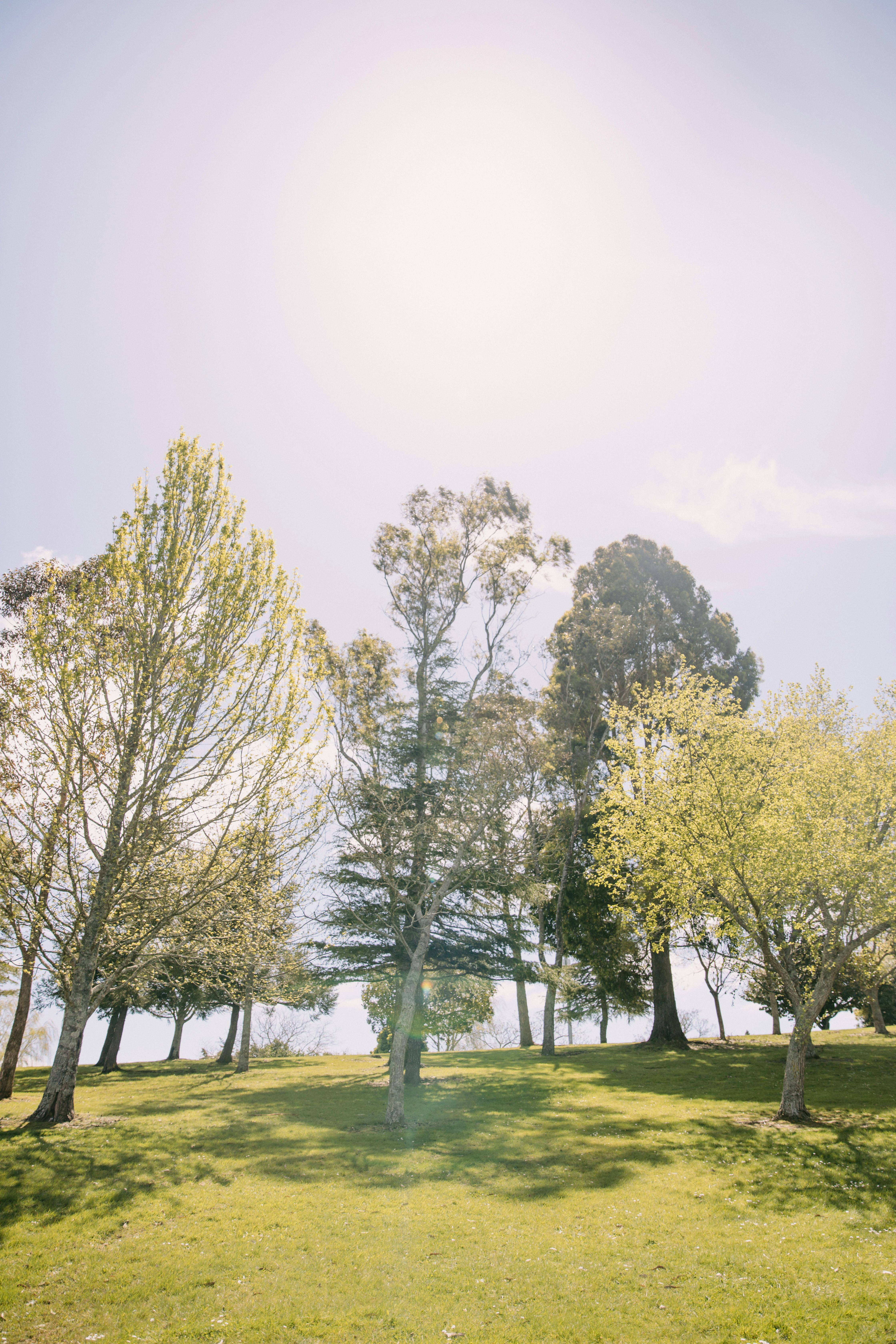 Radhe Radhe Wallpapers Photos, Download The BEST Free Radhe Radhe ...