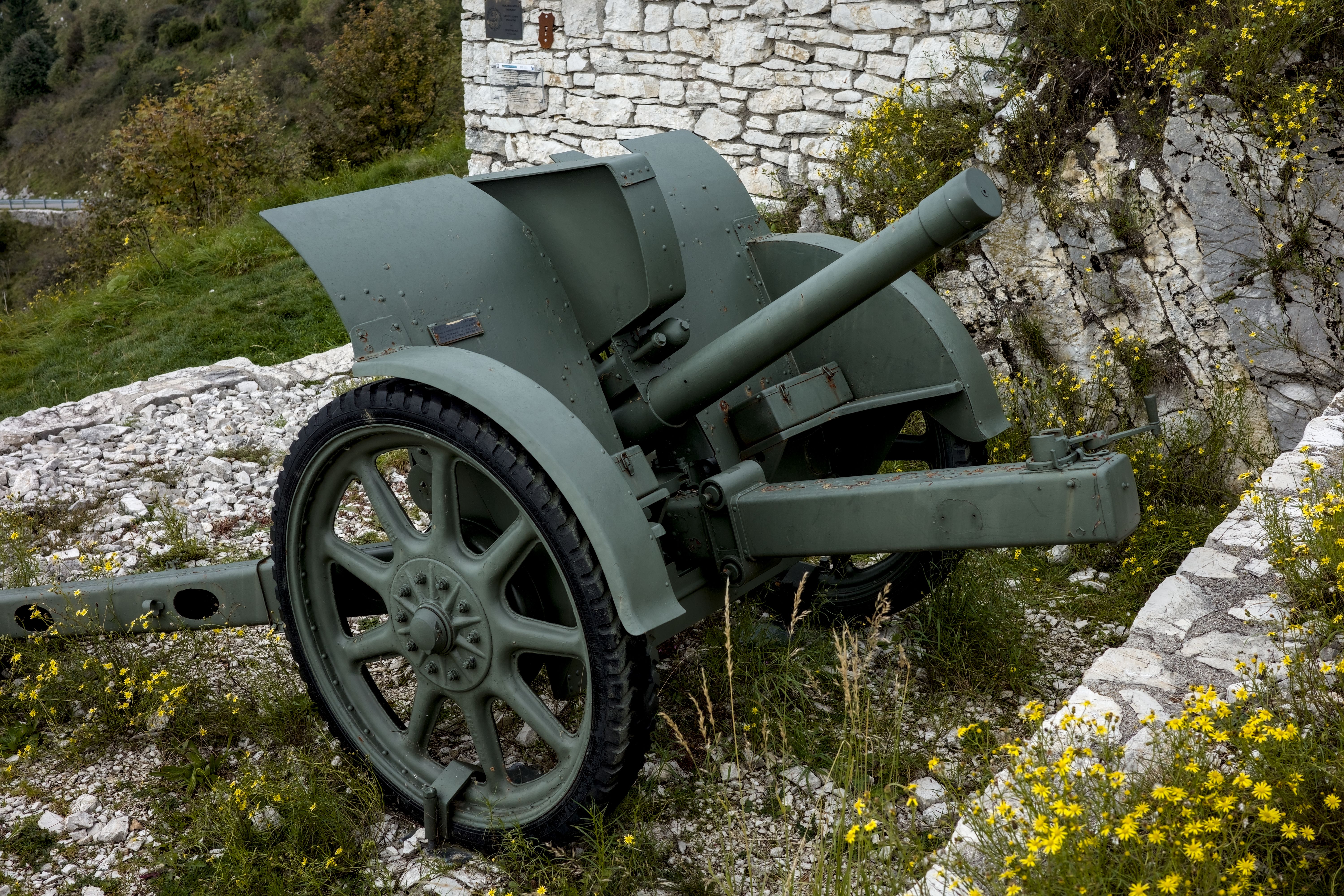 Vintage Artillery Cannon at Monte Grappa · Free Stock Photo