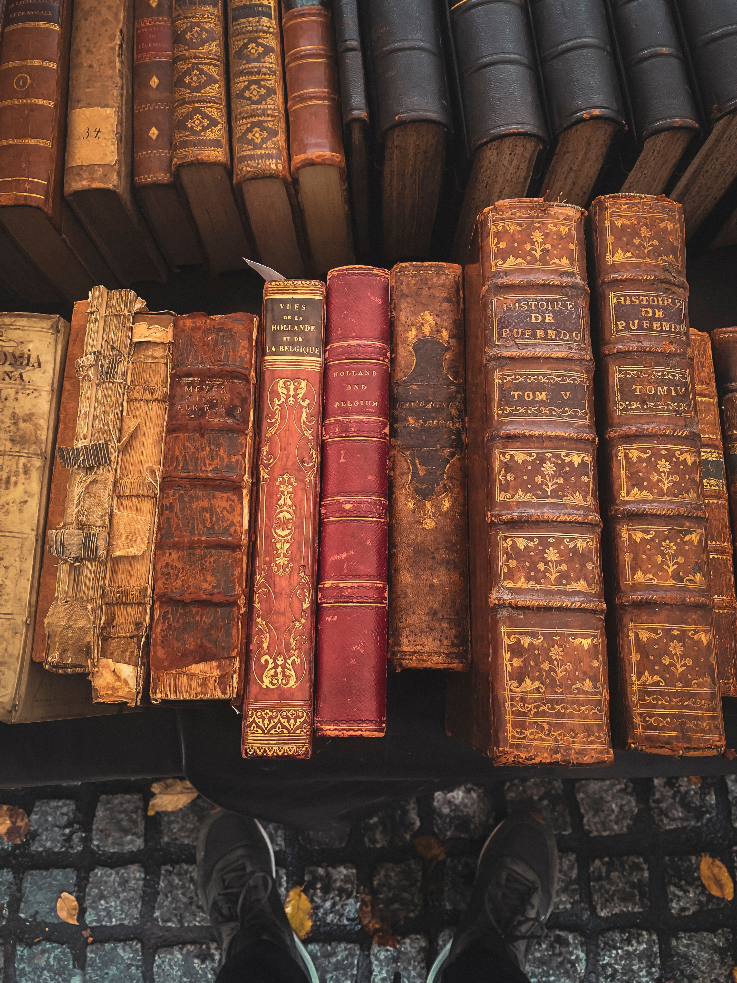 Vintage Bookshelf with Classic Literature in Talgar Library · Free ...