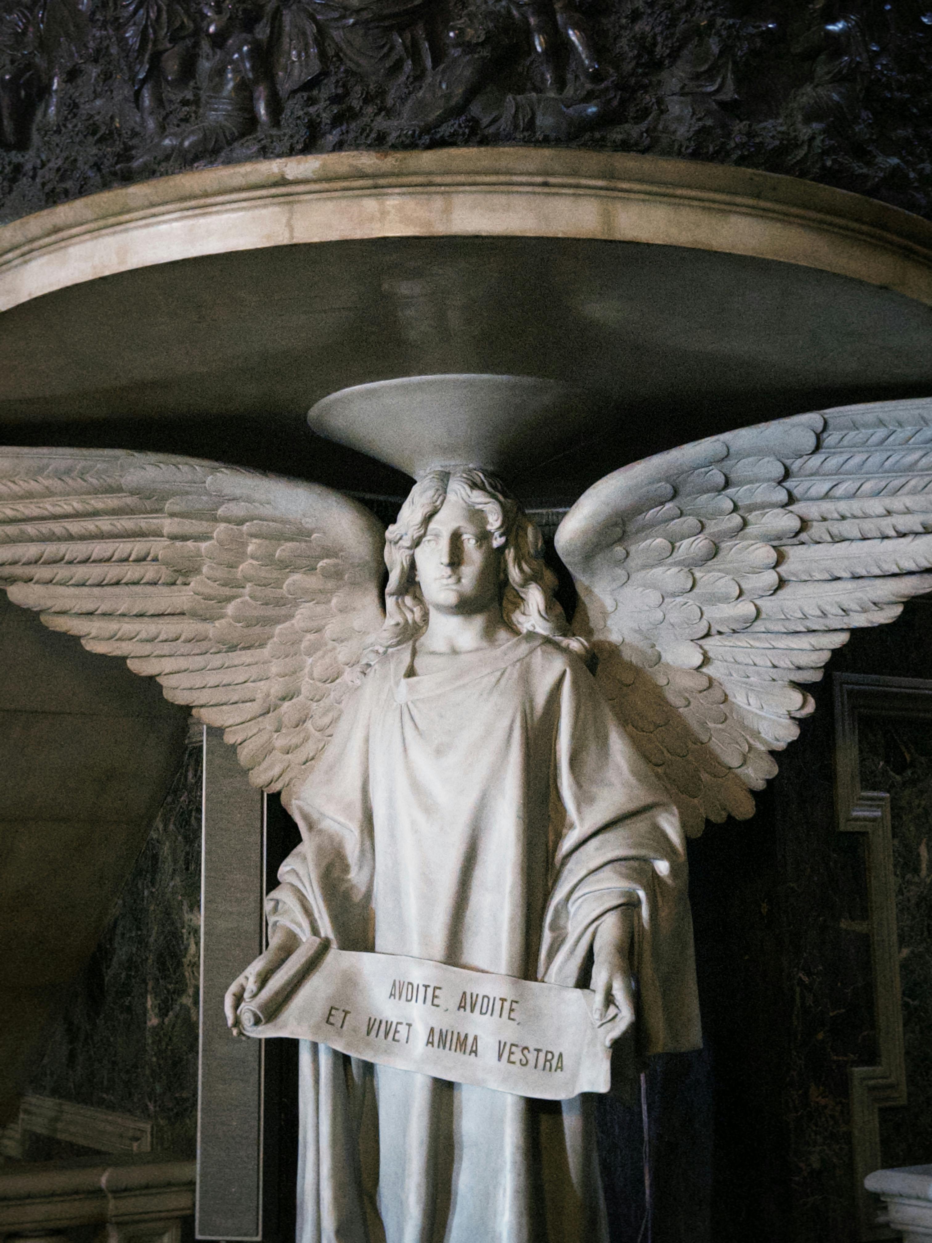 Netflix Banner Photos, Download The BEST Free Netflix Banner Stock ...