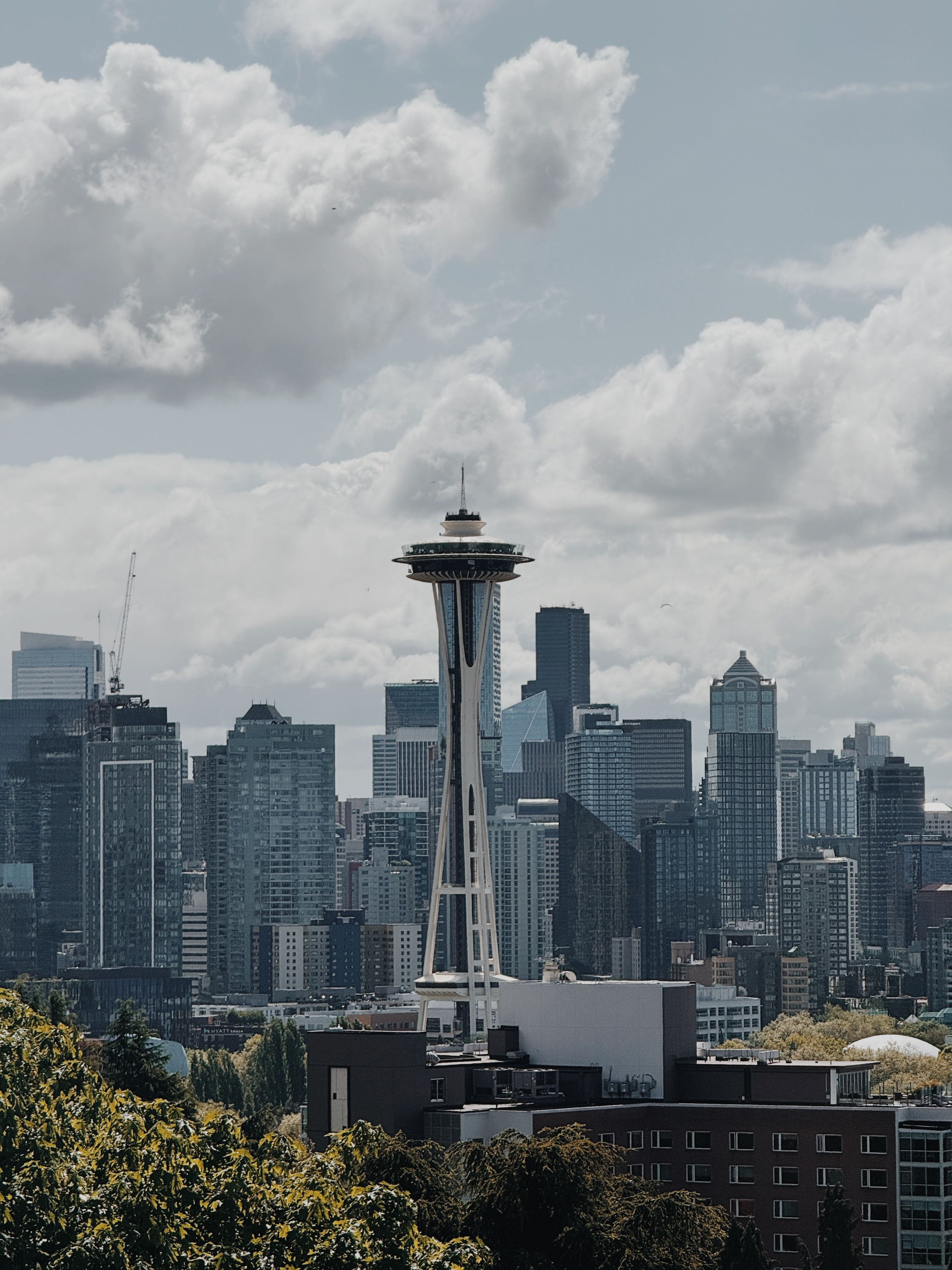 Seattle Skyline Featuring the Space Needle · Free Stock Photo