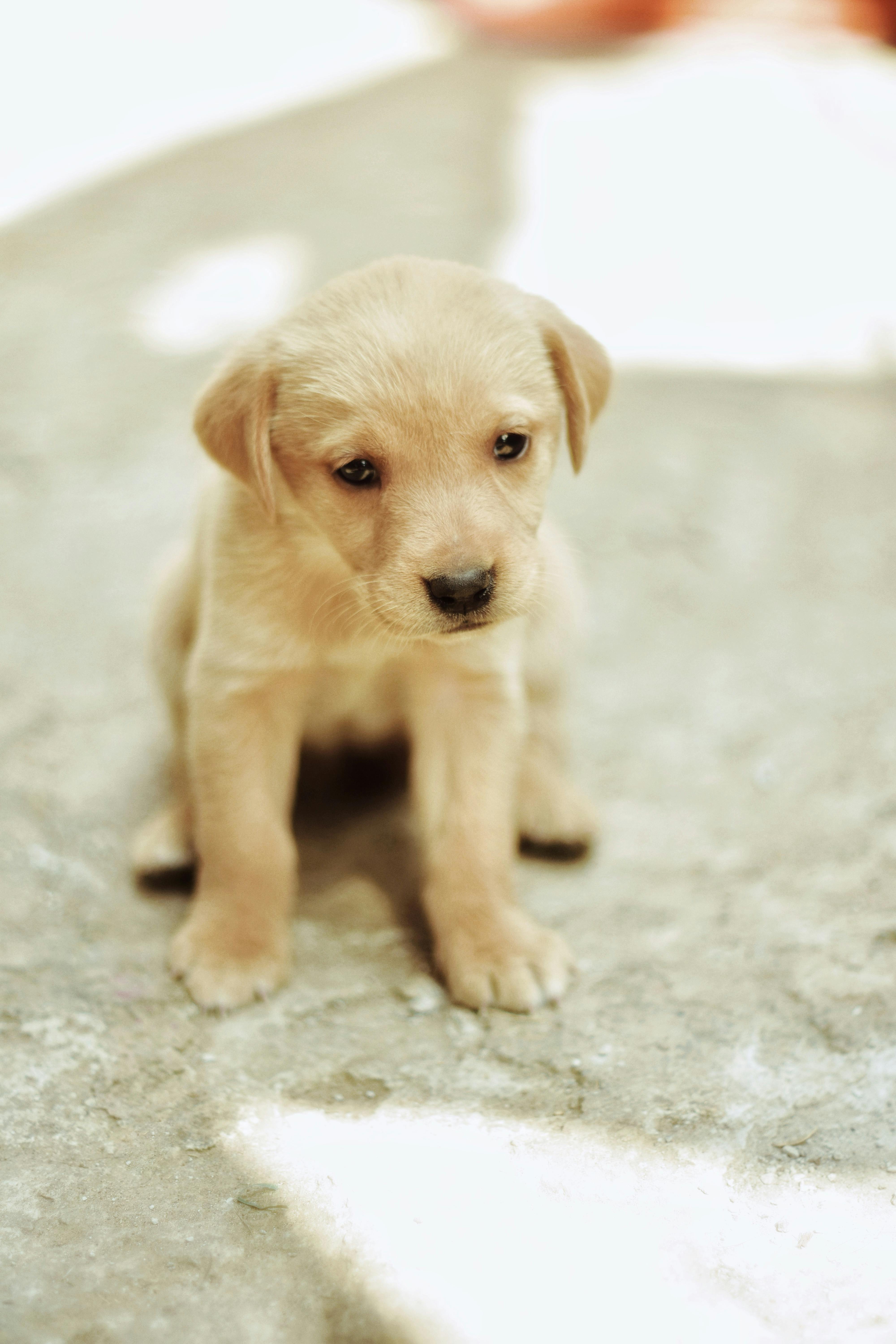 Profile Picture Cute Photos, Download The BEST Free Profile Picture ...