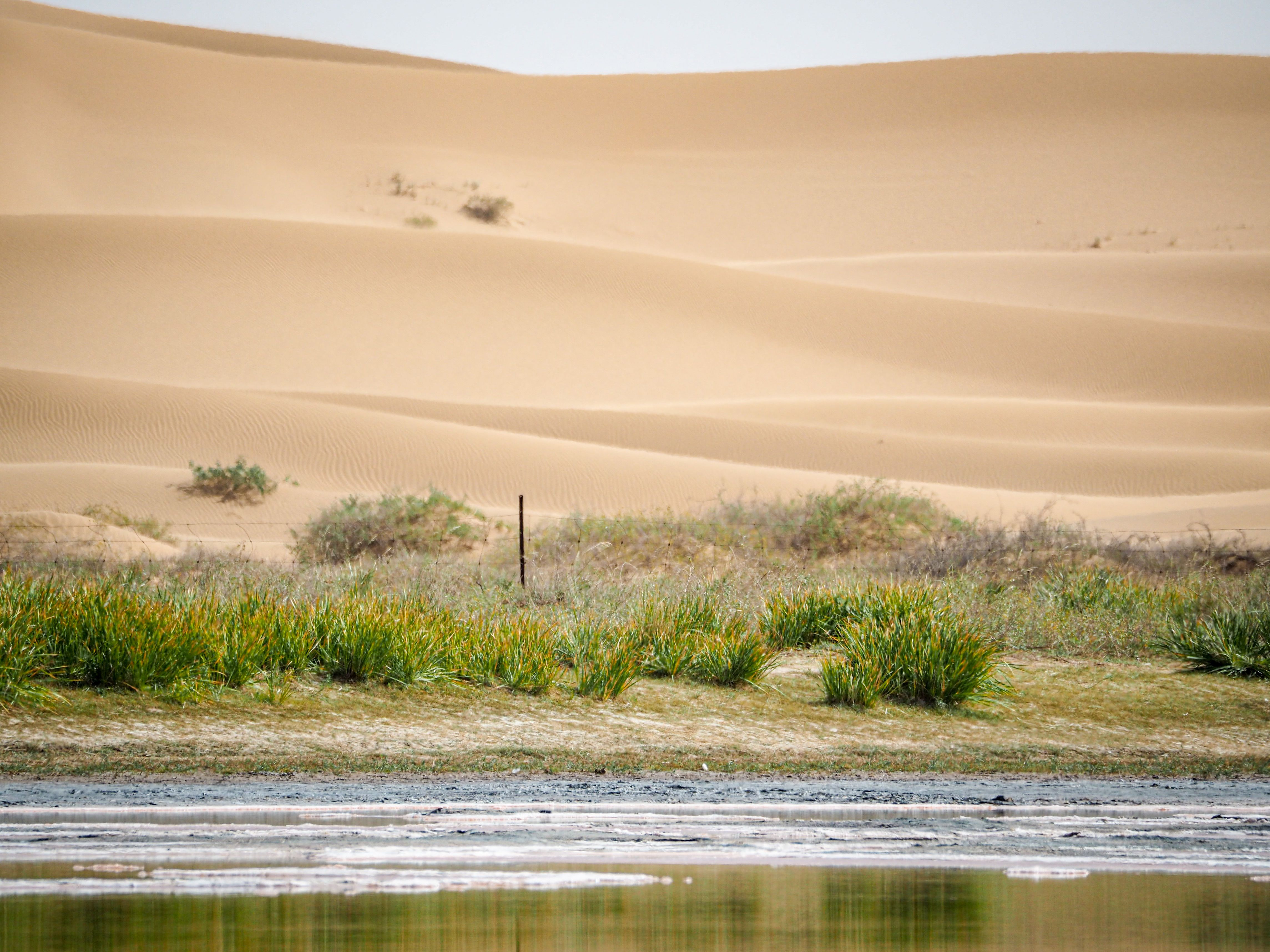 Barren Desert Photos, Download The BEST Free Barren Desert Stock Photos ...