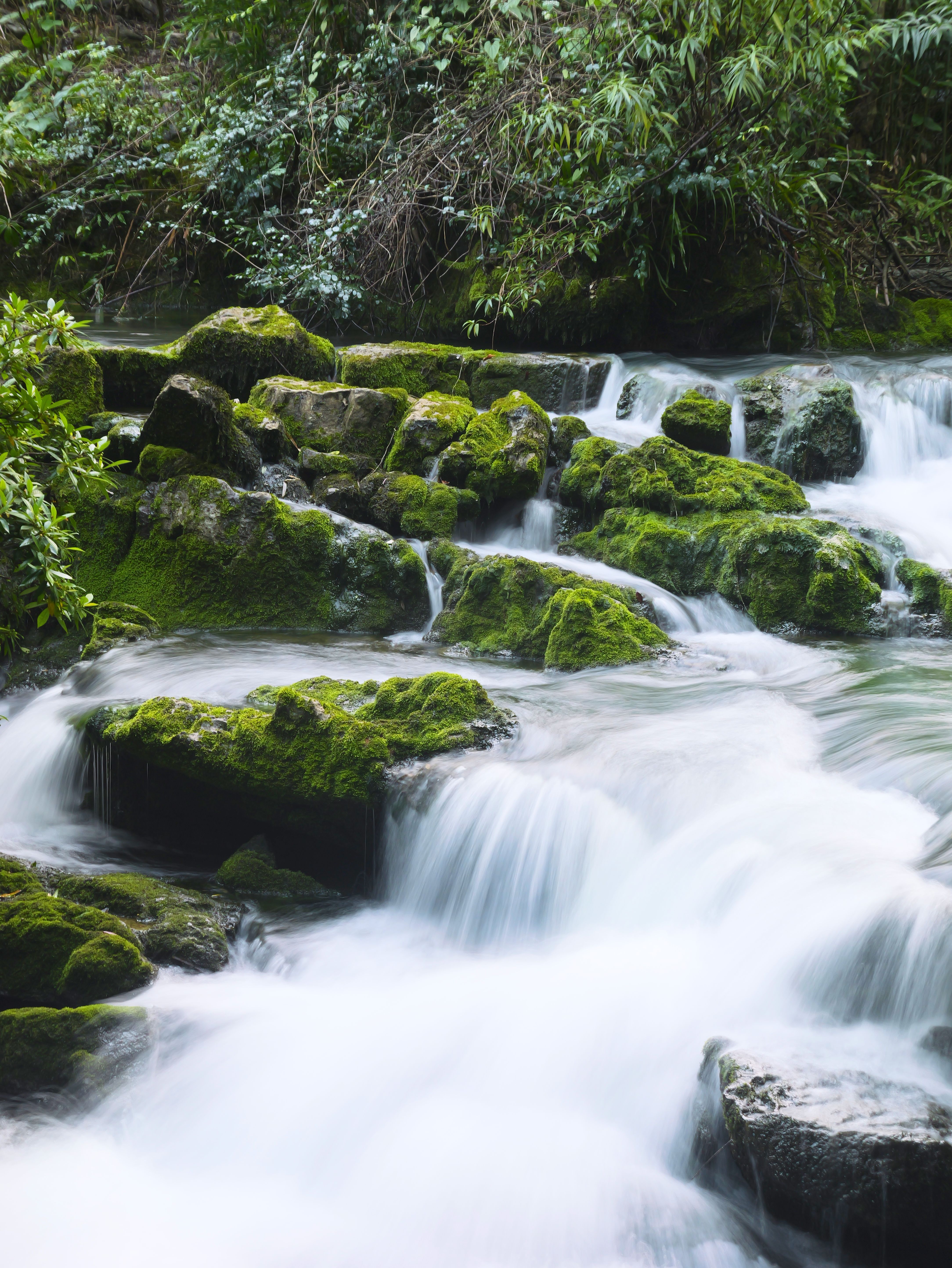 Serene Stream Cascading Over Mossy Rocks · Free Stock Photo