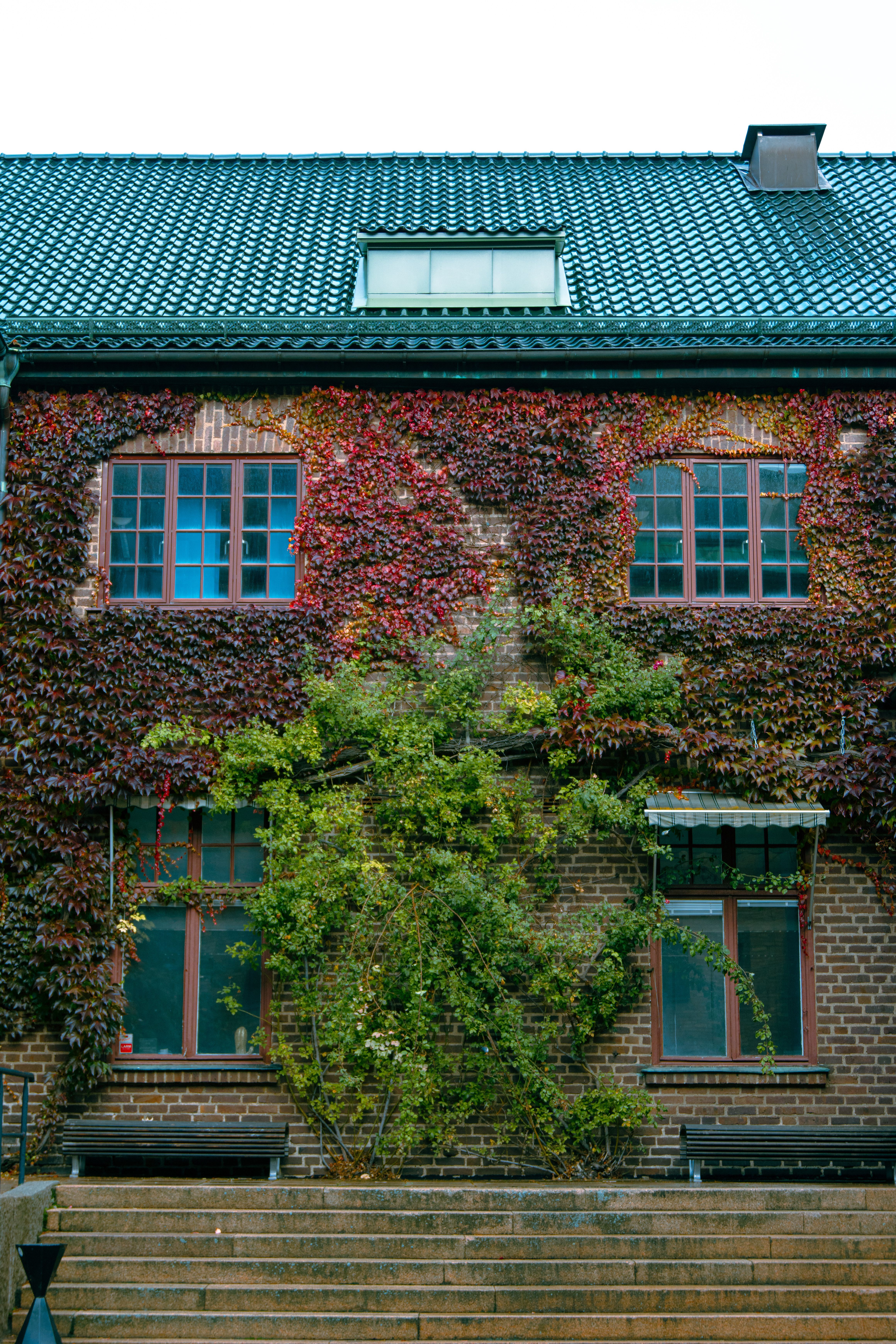 Autumn Ivy on Scandinavian Brick Building · Free Stock Photo