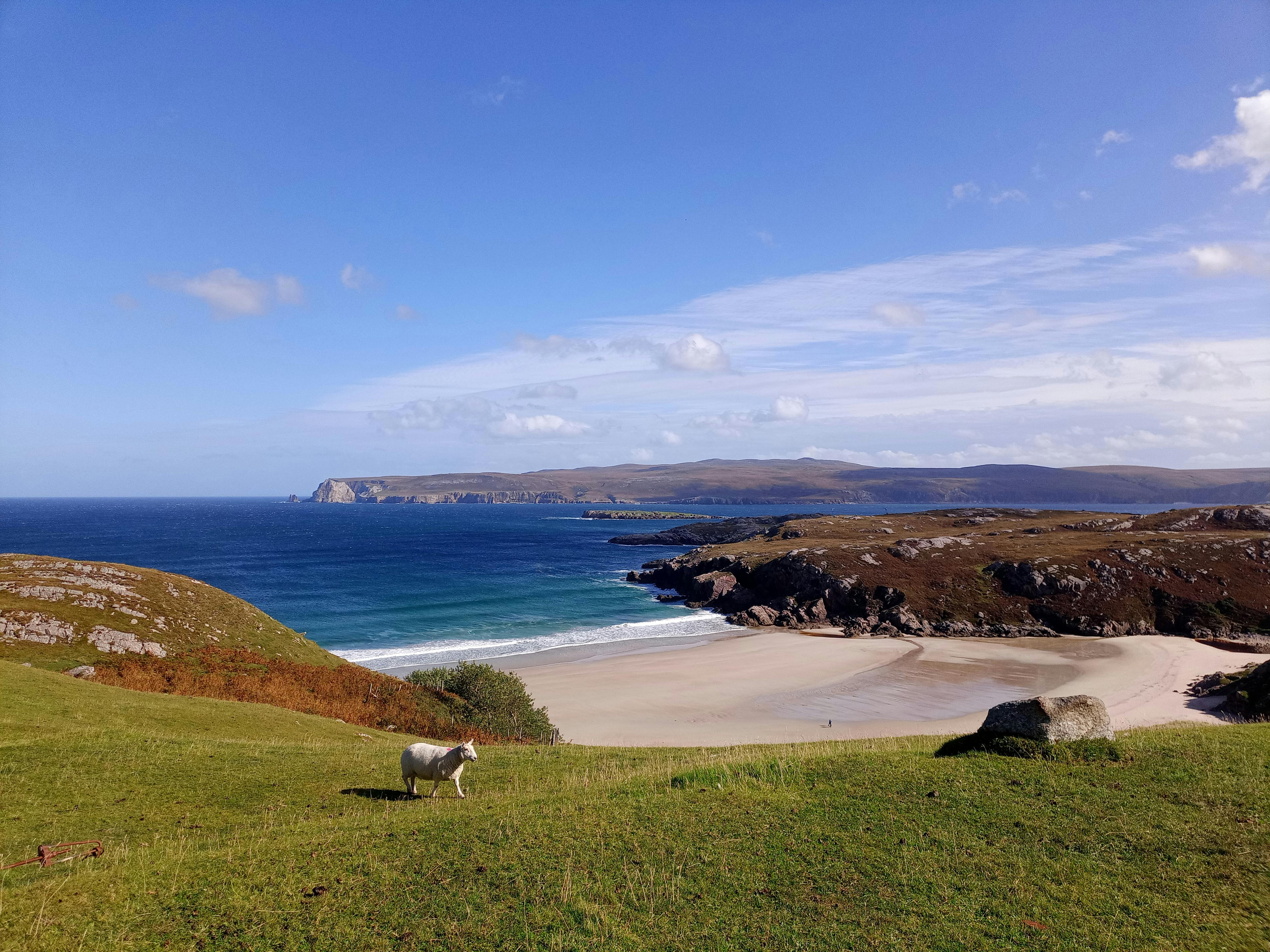 Remote Beach Photos, Download The BEST Free Remote Beach Stock Photos ...