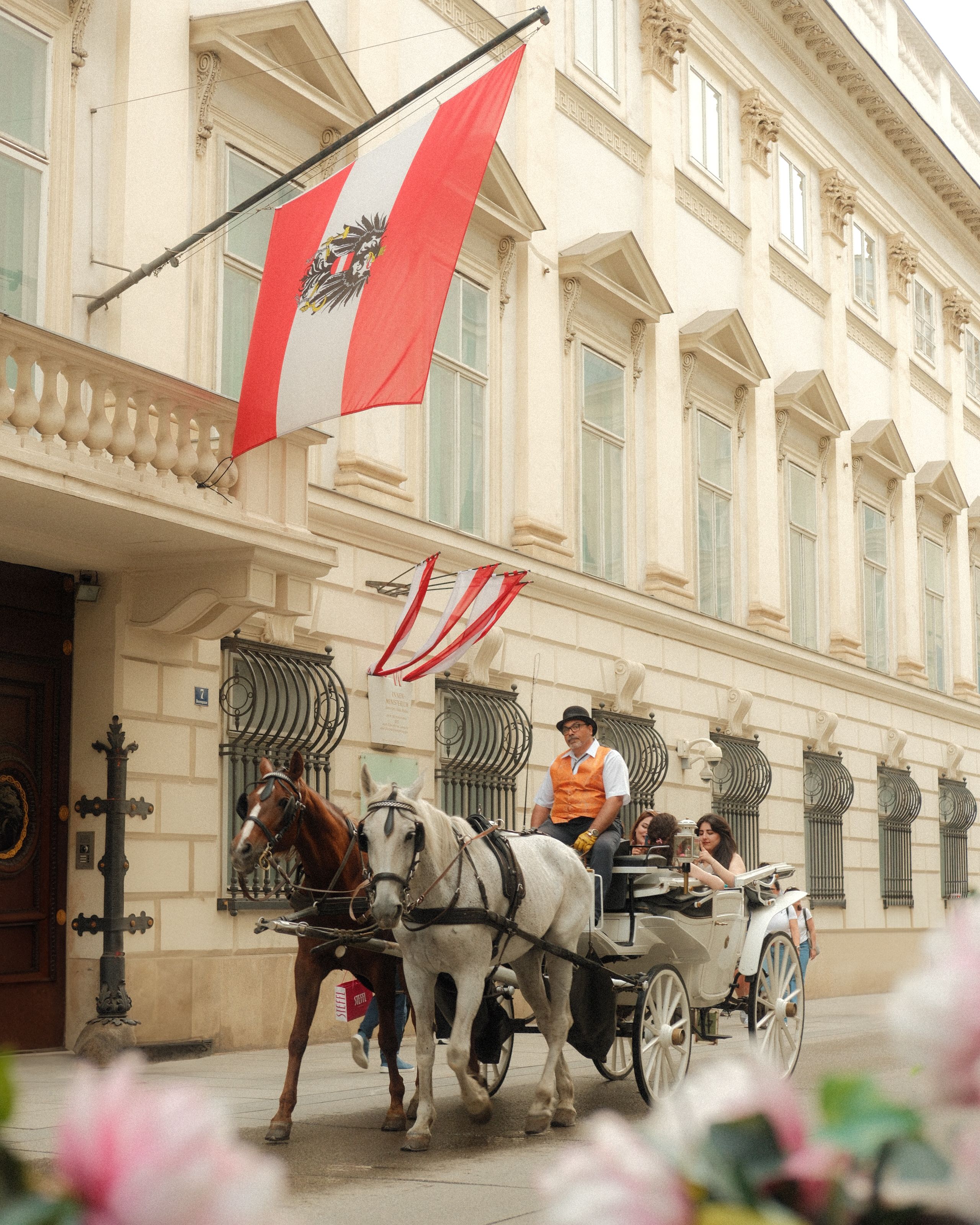 Horse Carriage in Vienna's Historic City Center · Free Stock Photo