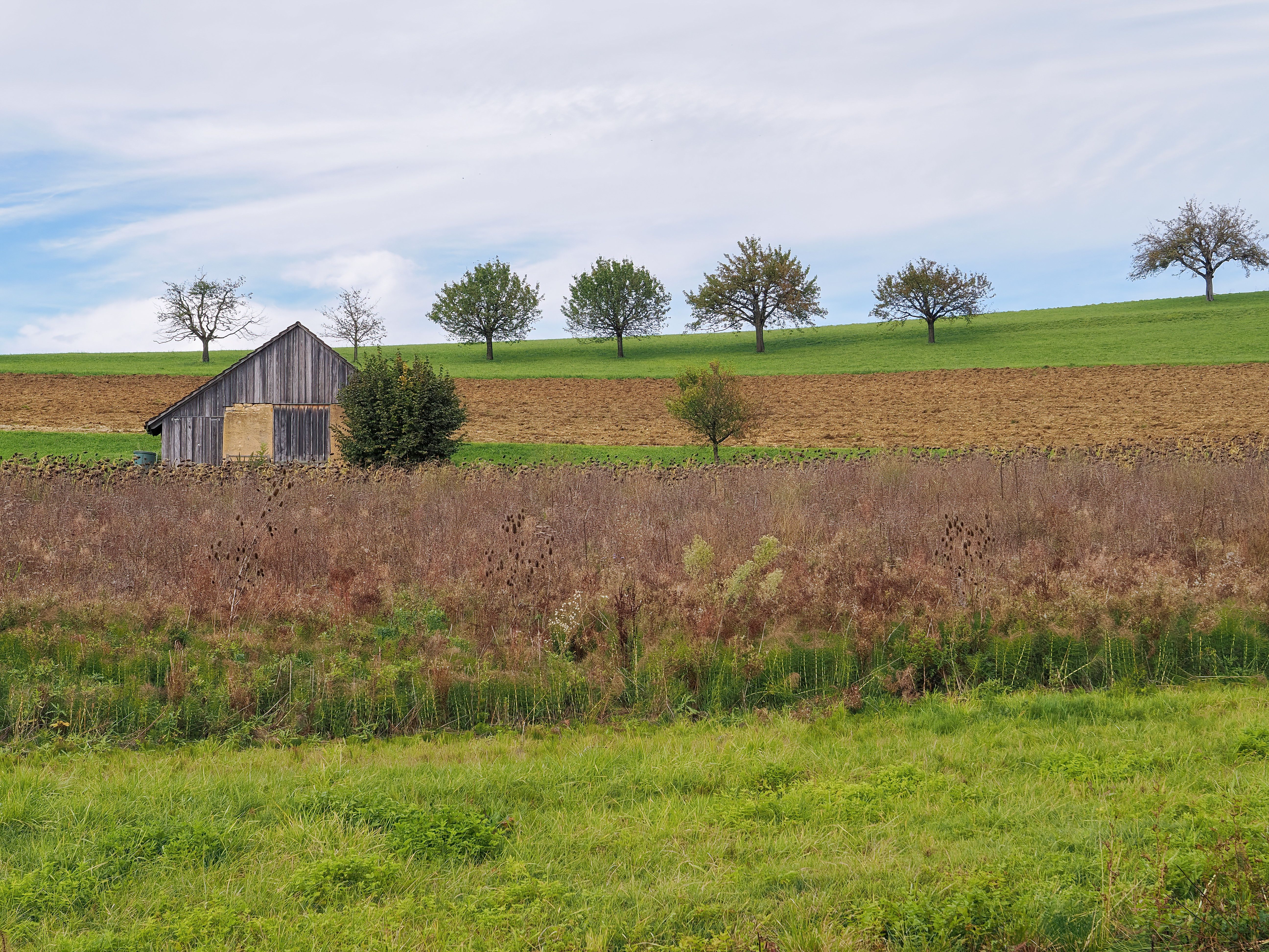 Rural Field on Farm · Free Stock Photo