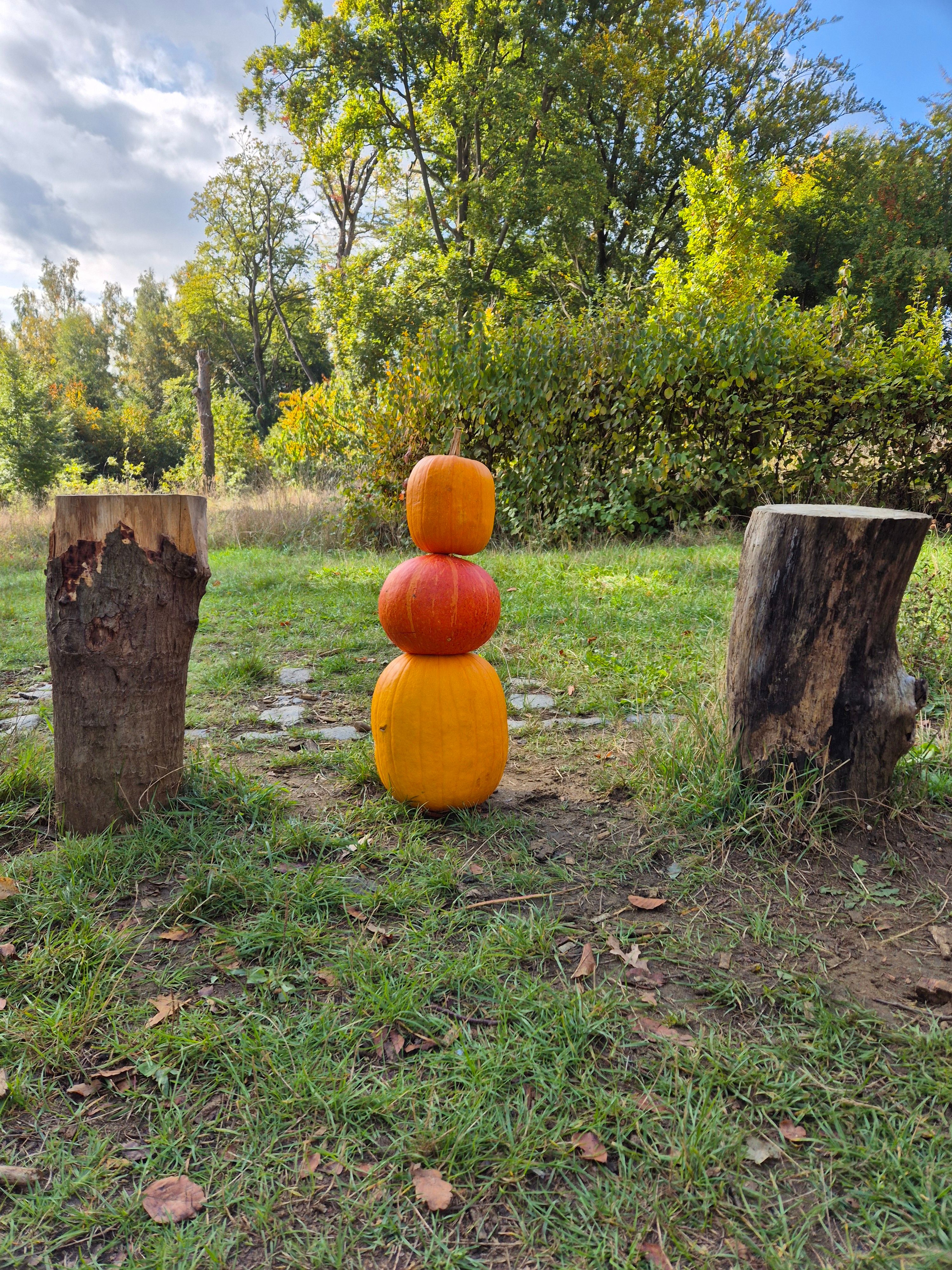 Stack of Pumpkins Outdoors in Autumn Scene · Free Stock Photo