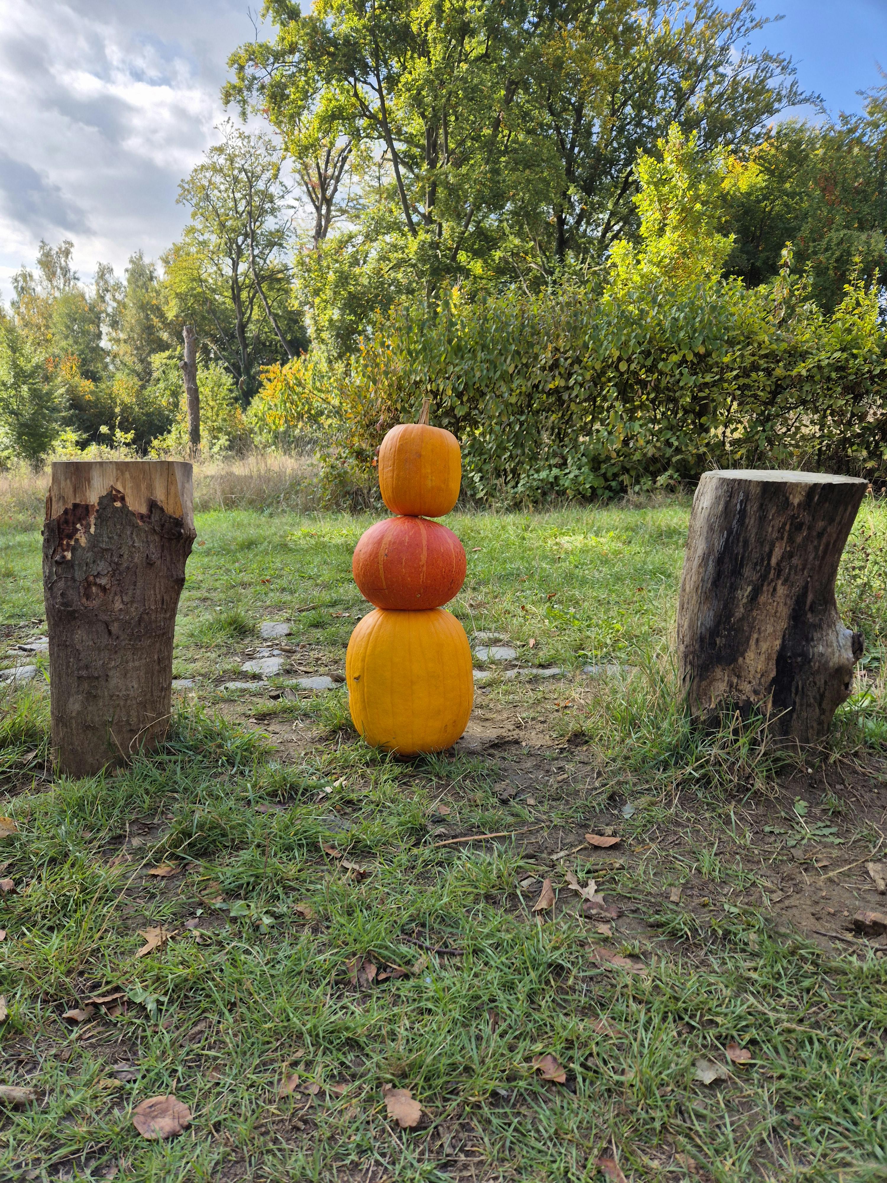 November Landscape Photos, Download The BEST Free November Landscape ...