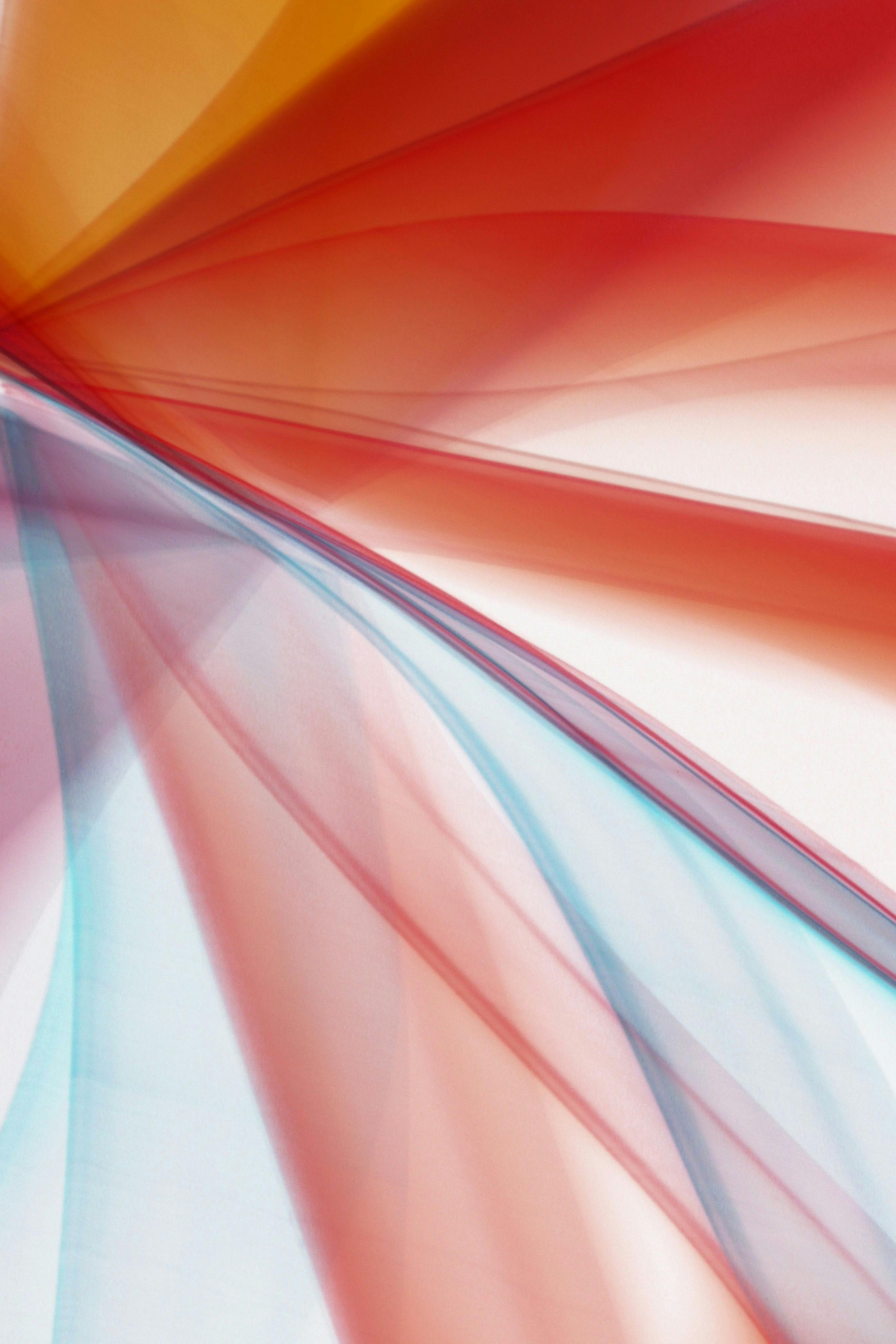 Translucent Photos, Download The BEST Free Translucent Stock Photos ...