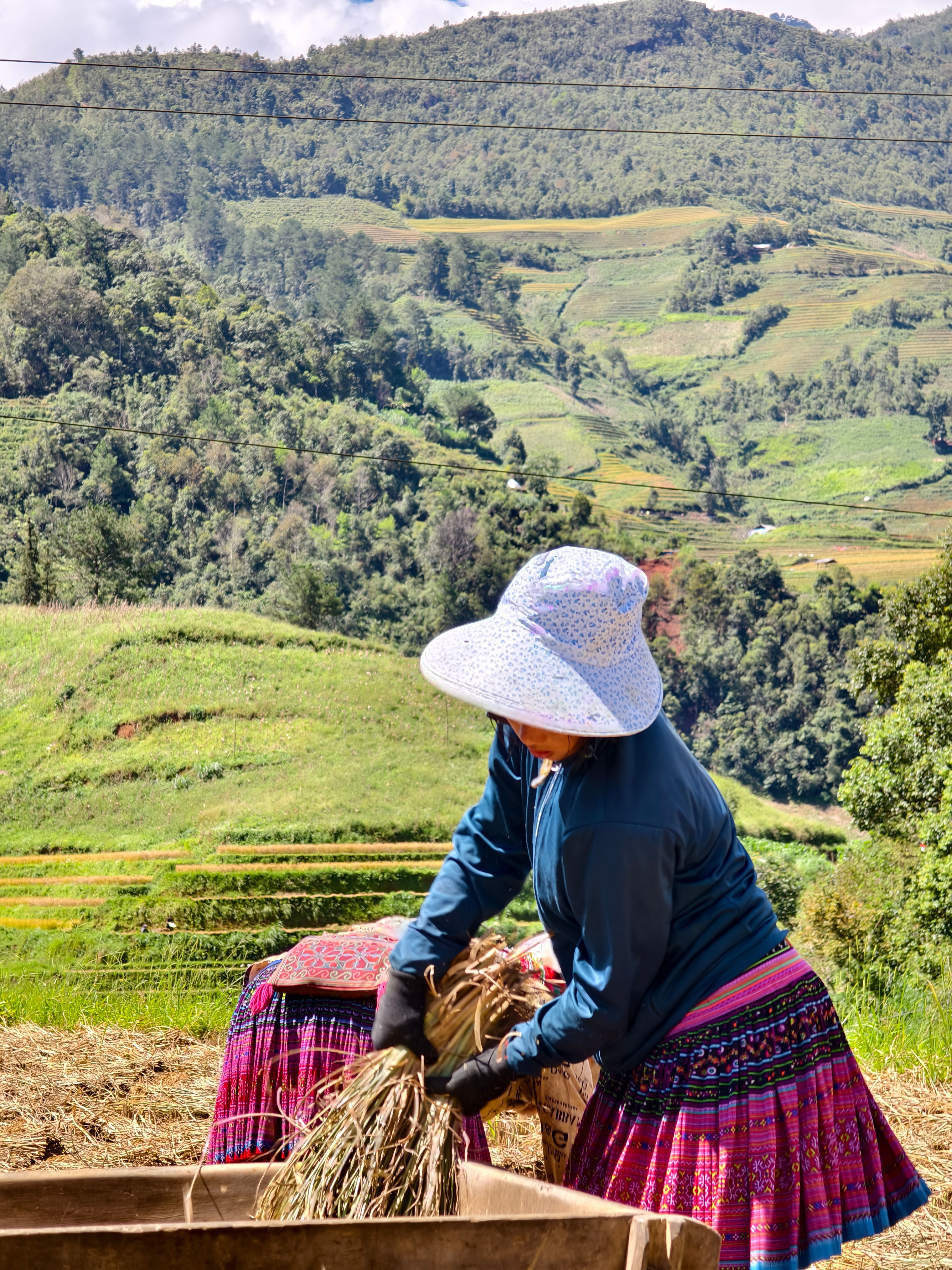 Traditional Farming in Scenic Mountain Landscape · Free Stock Photo
