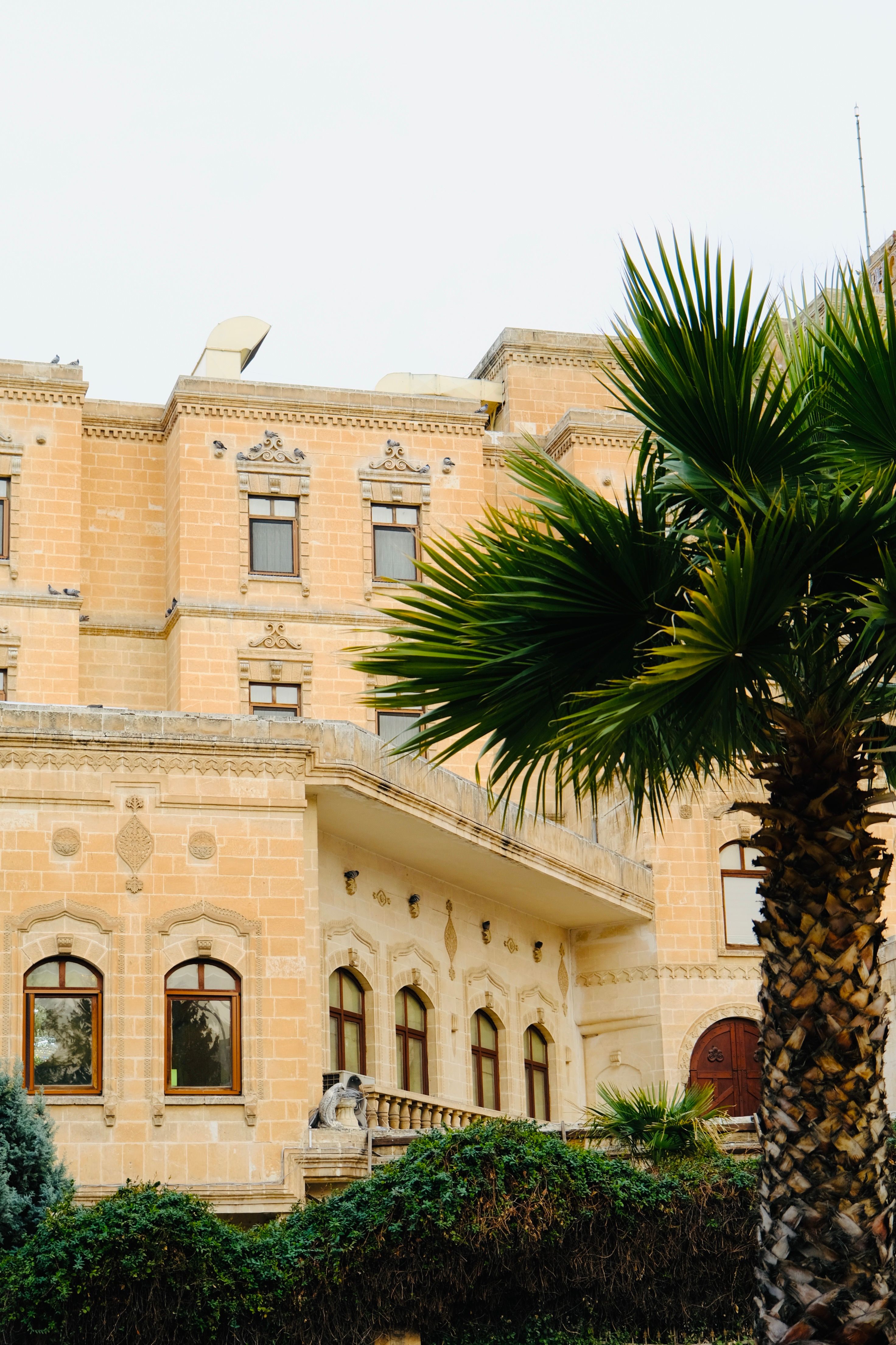 Historic Mediterranean Building with Palm Tree · Free Stock Photo