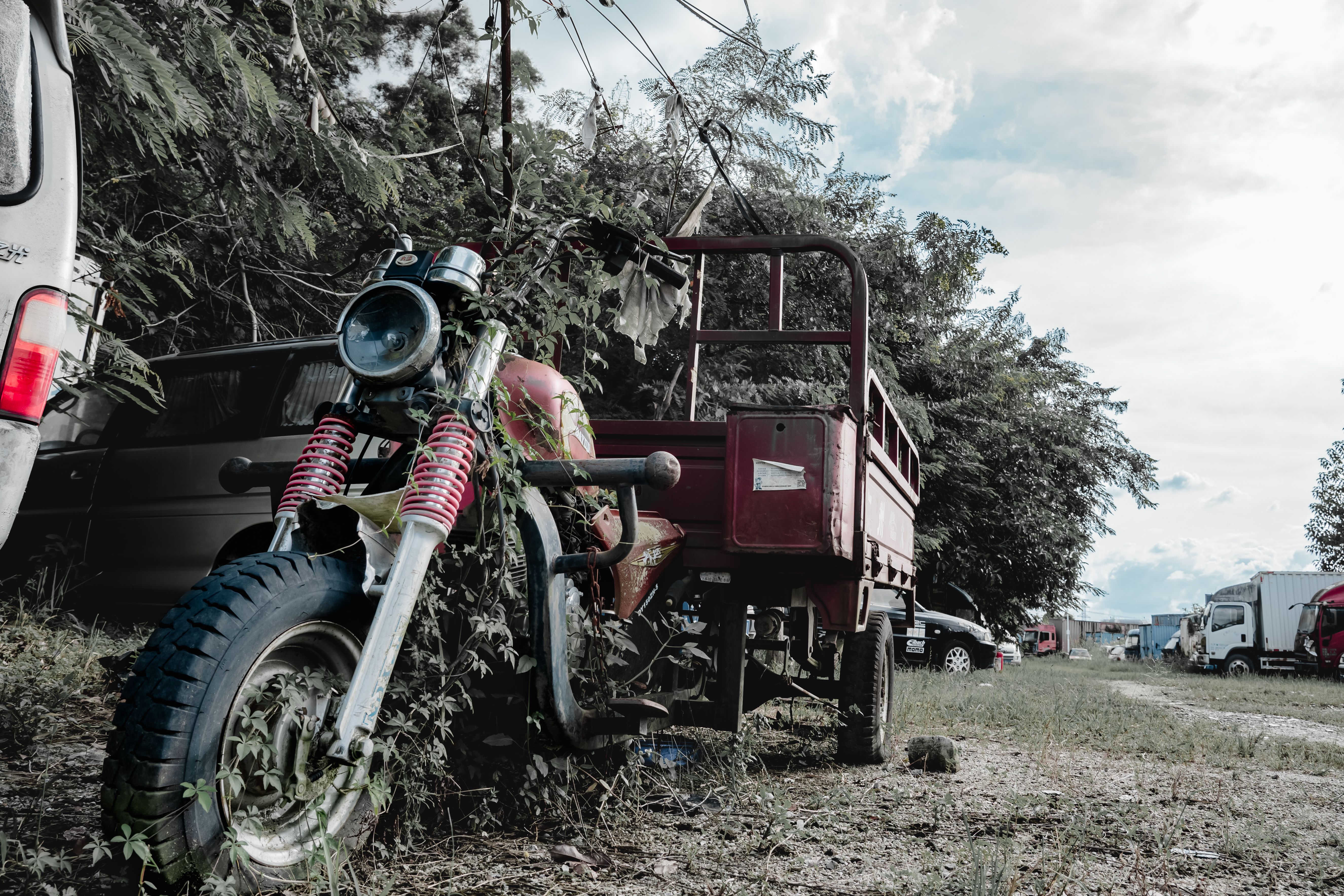 Vine-Covered Abandoned Motorcycle in Guangzhou · Free Stock Photo