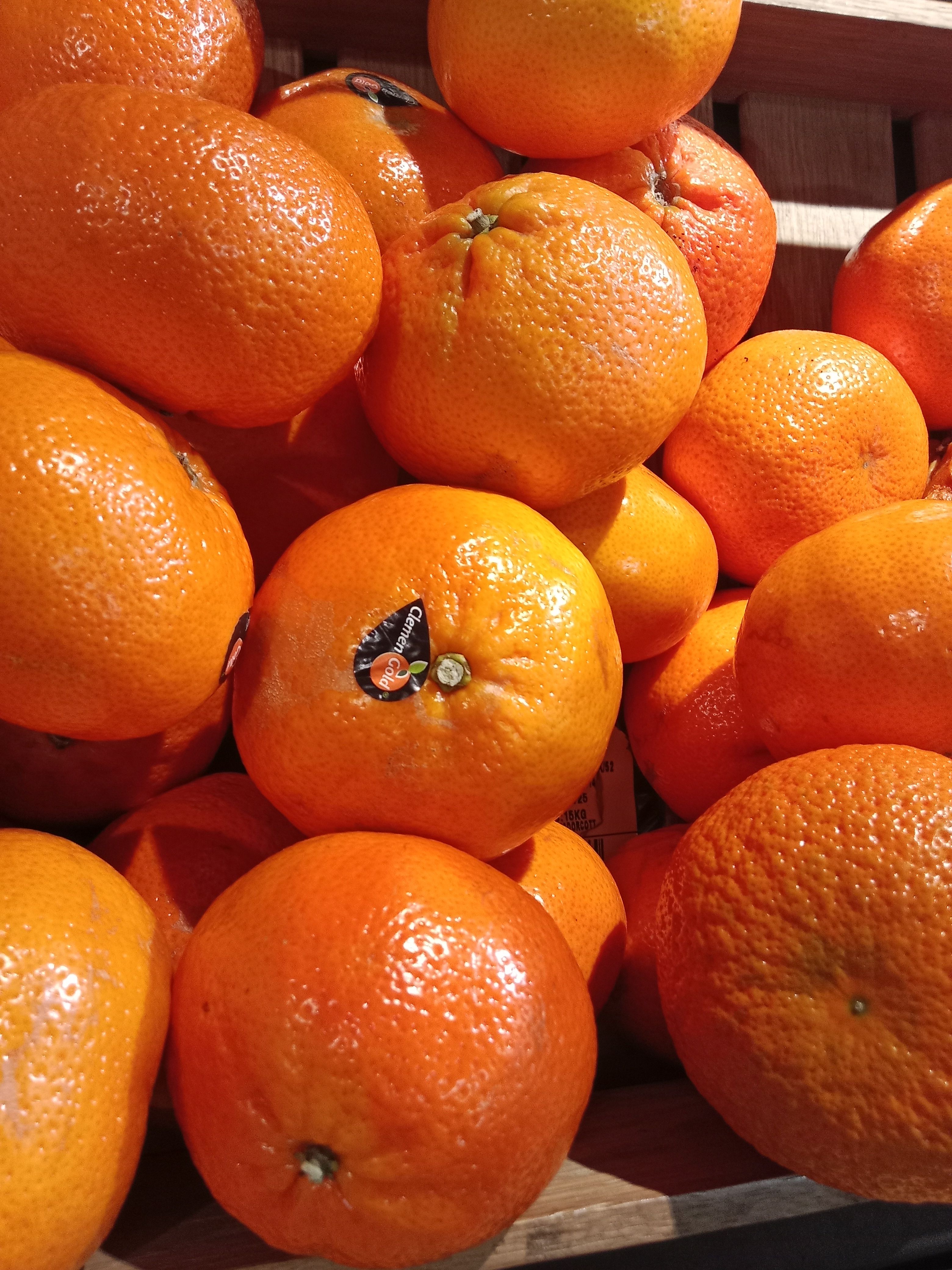 Fresh Juicy Oranges in Grocery Display Bin · Free Stock Photo