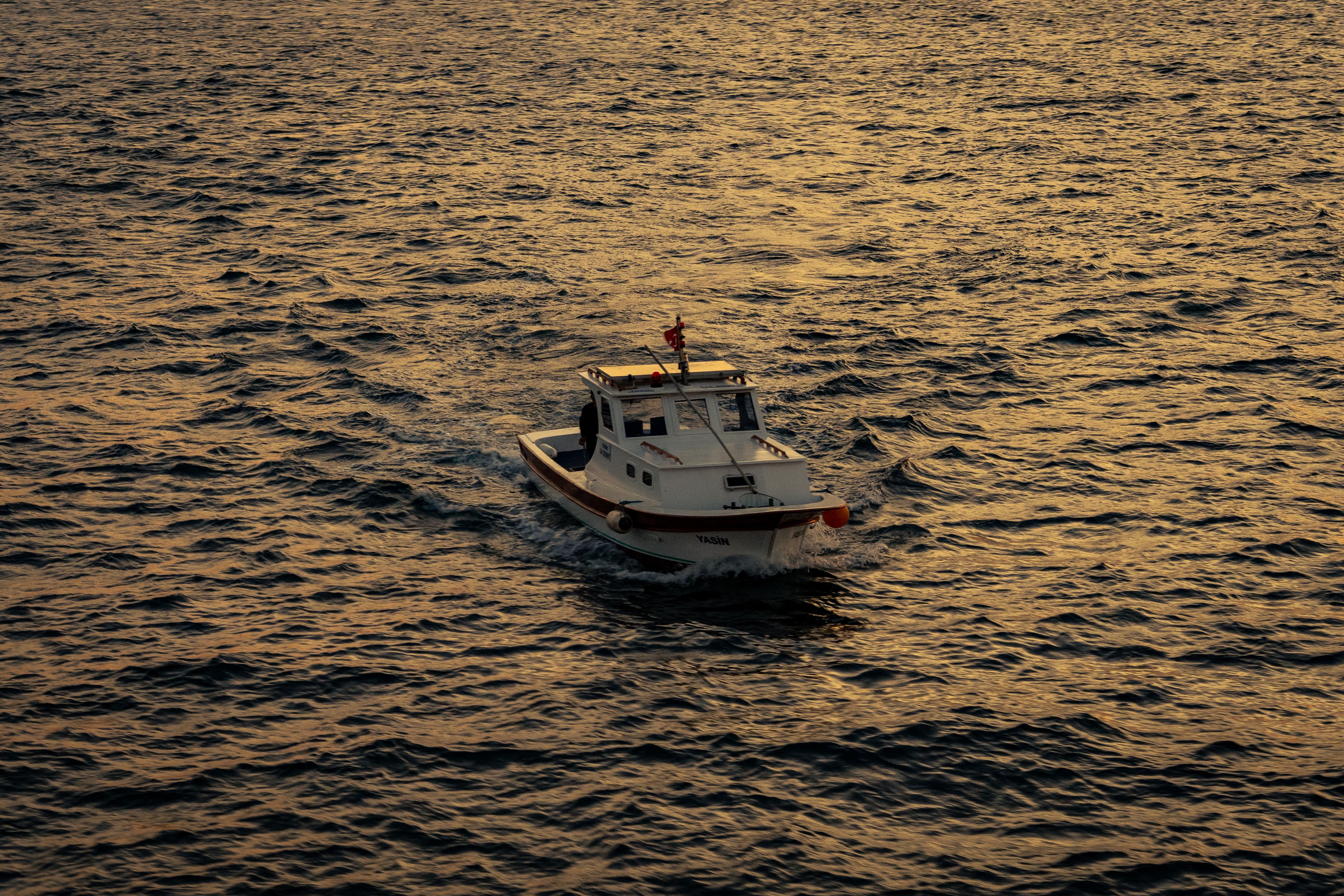 Exploring the Role of Boat Inspection Services - Lathamfilms.com