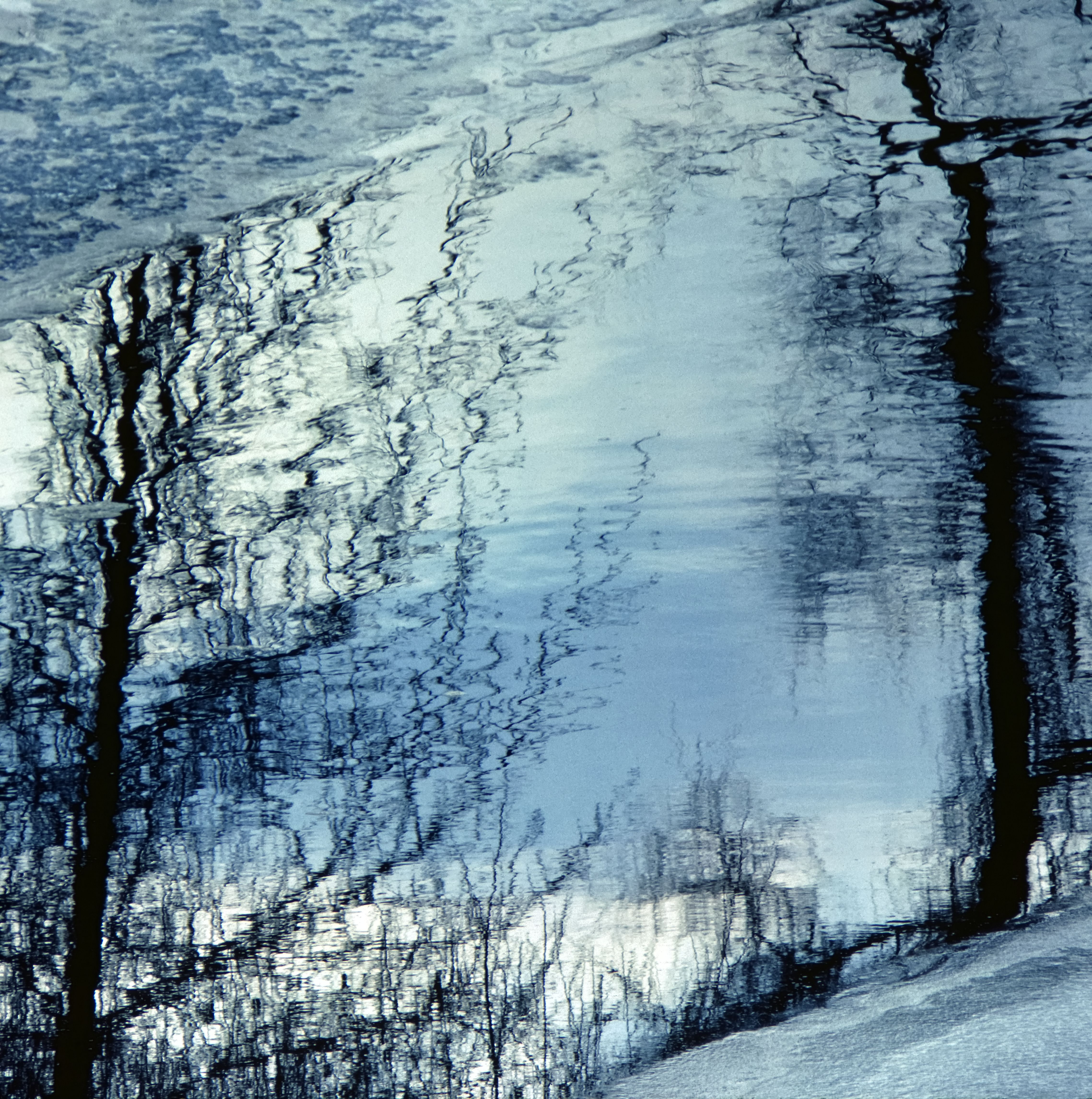 Winter Trees Reflecting in Icy Blue Waters · Free Stock Photo