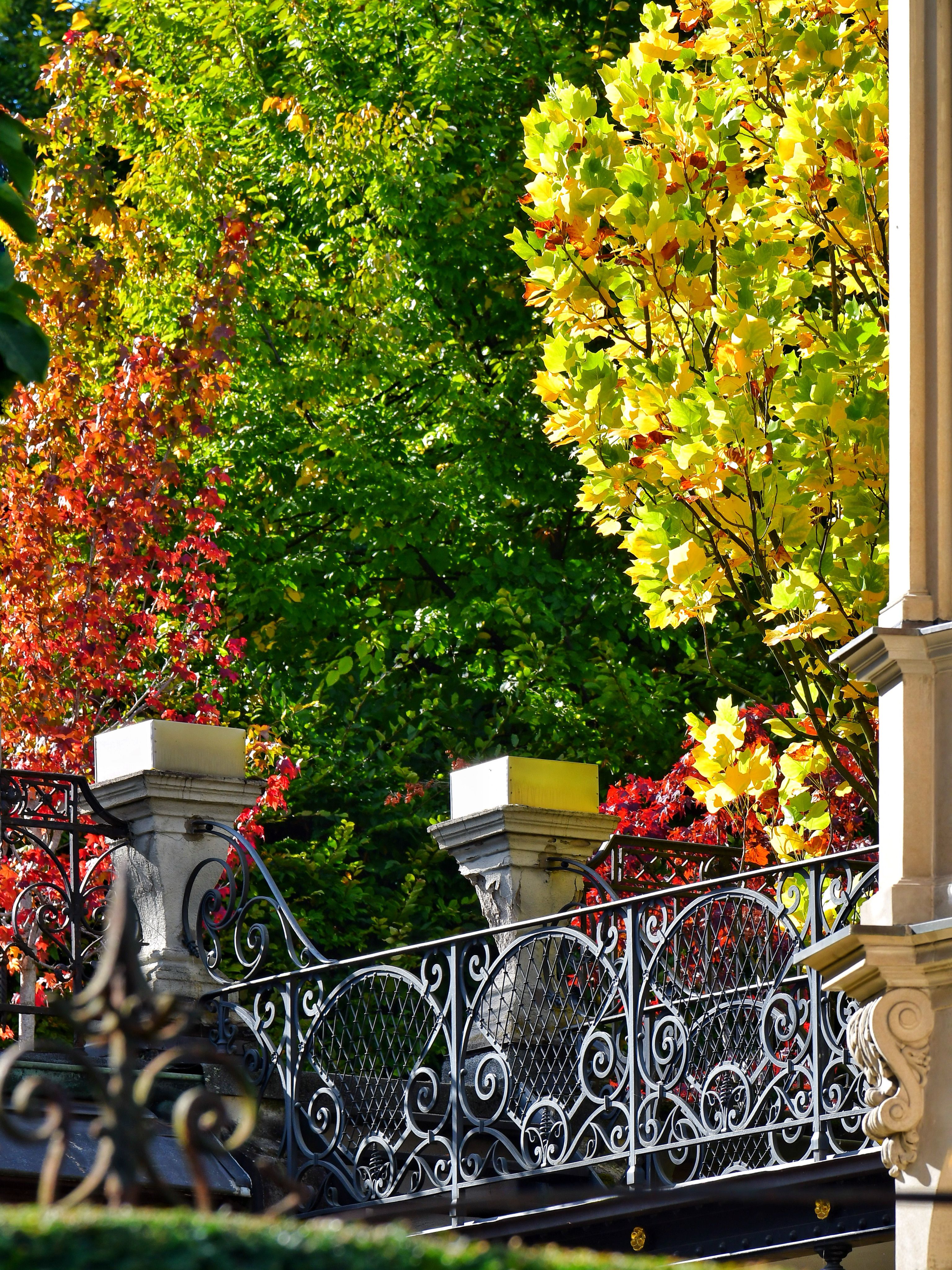 Elegant Iron Balcony in Vibrant Fall Foliage · Free Stock Photo