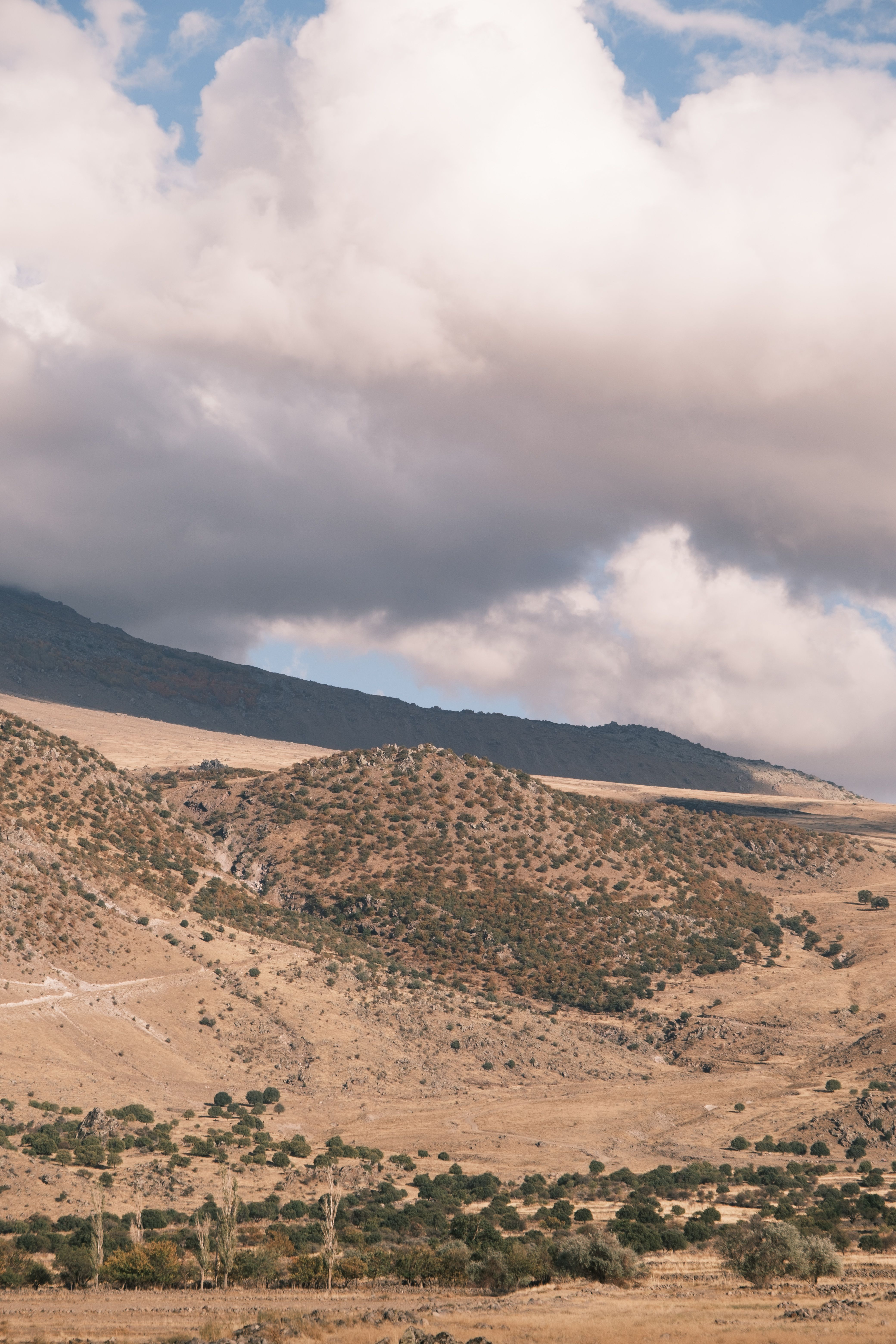 Barren Desert Photos, Download The BEST Free Barren Desert Stock Photos ...