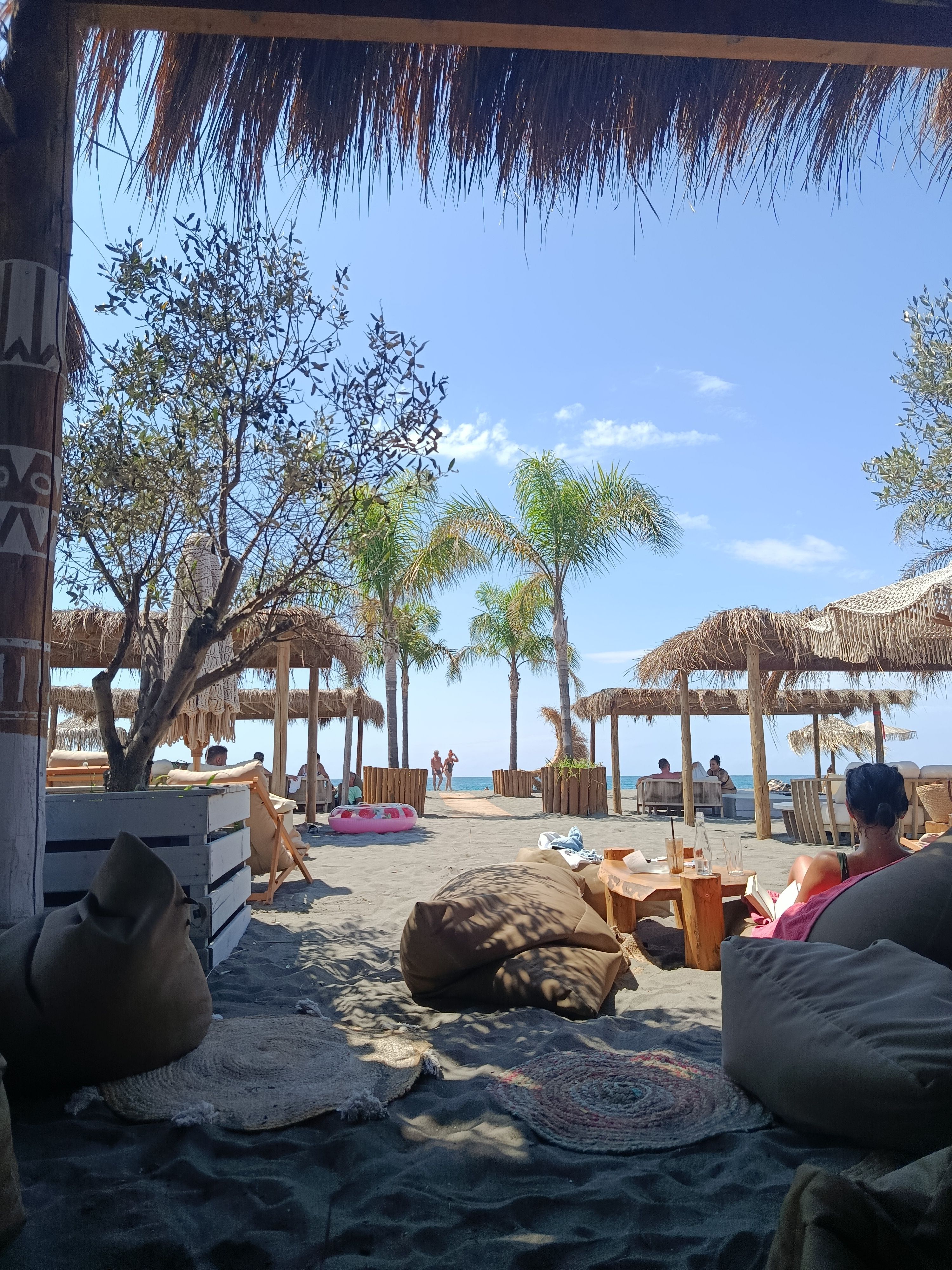 Relaxing Beach Day at Tropical Resort · Free Stock Photo