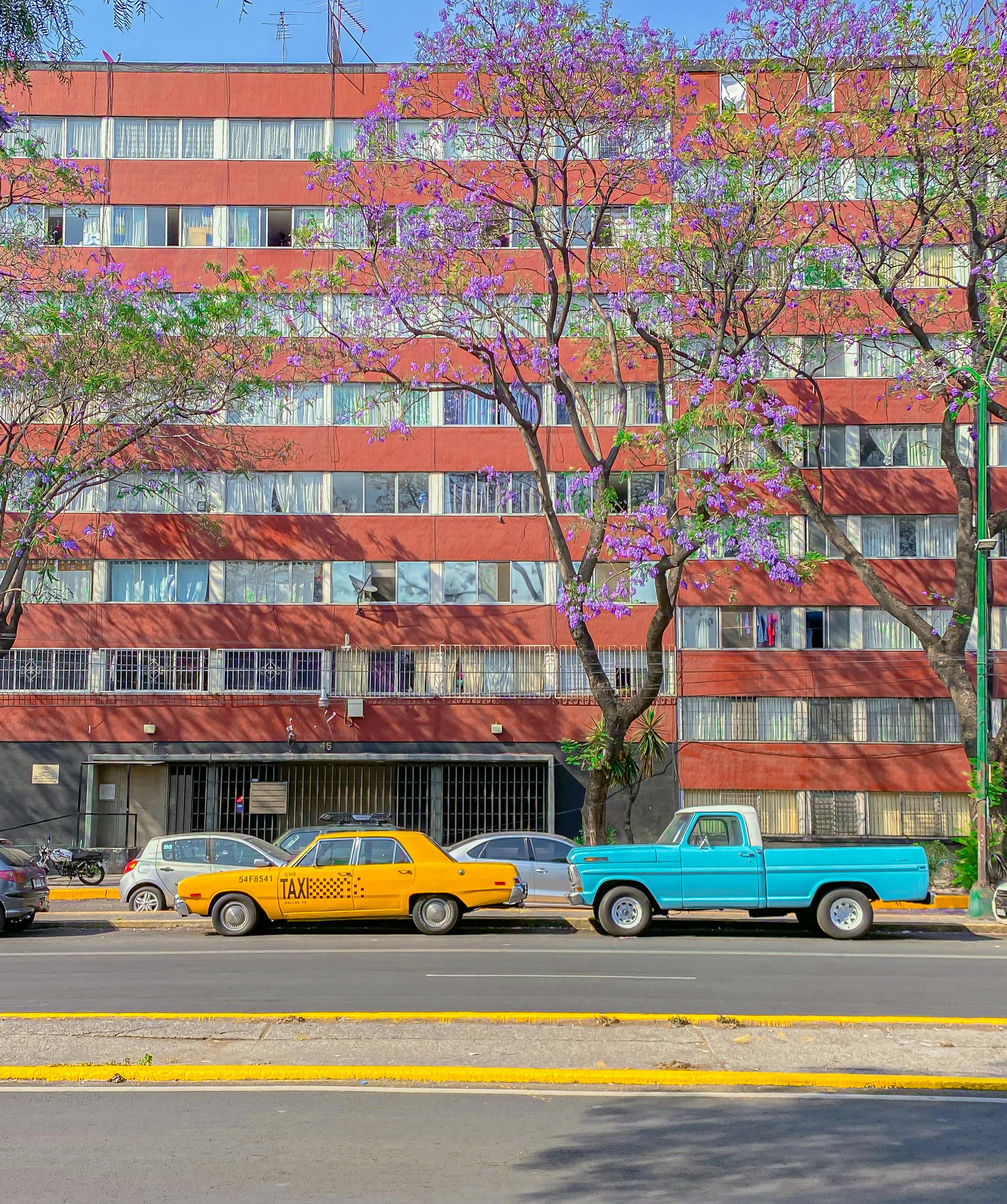 Martha+Woller+Pics Photos, Download The BEST Free Martha+Woller+Pics ...