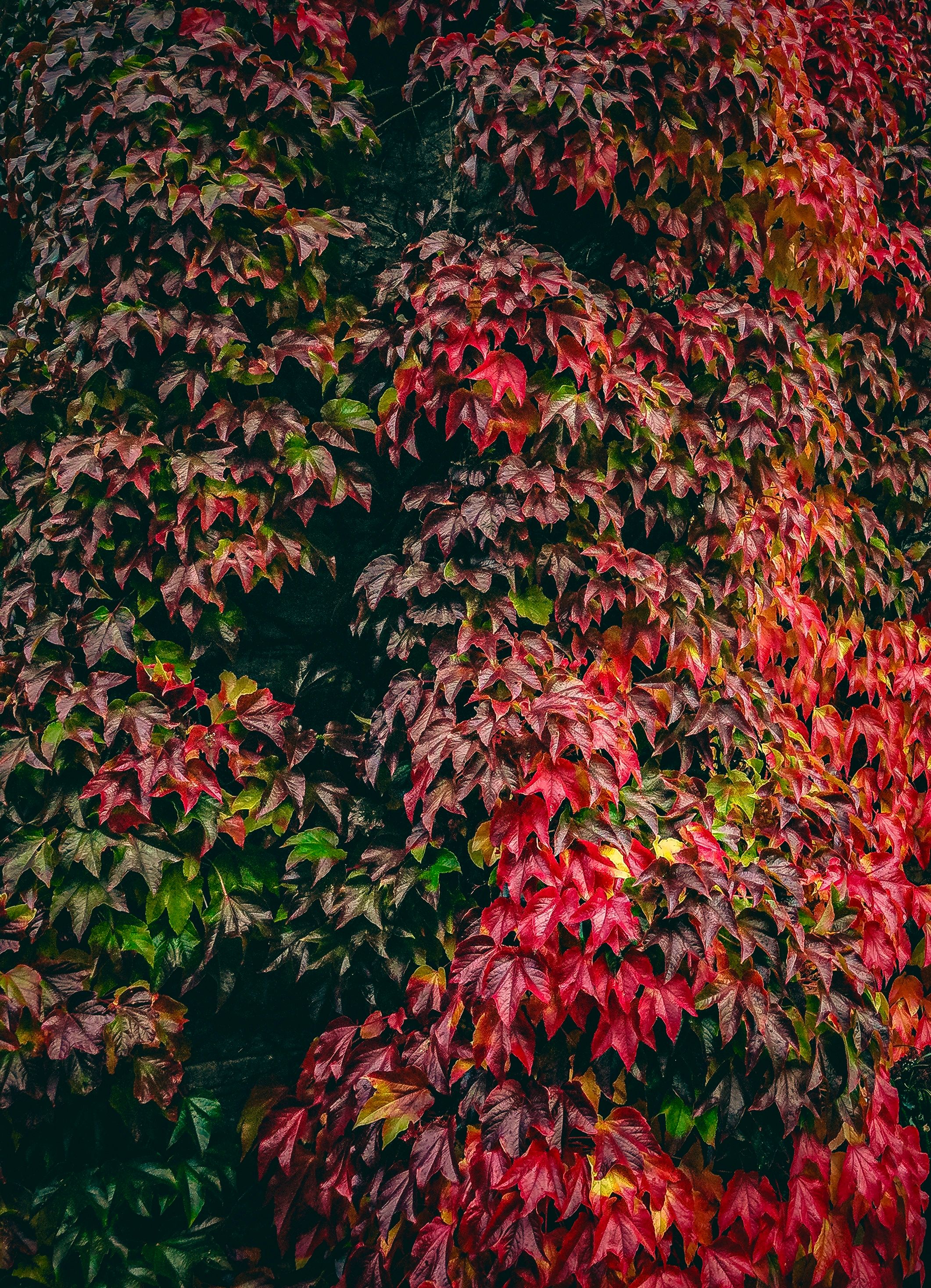 Background Transition Photos, Download The BEST Free Background ...
