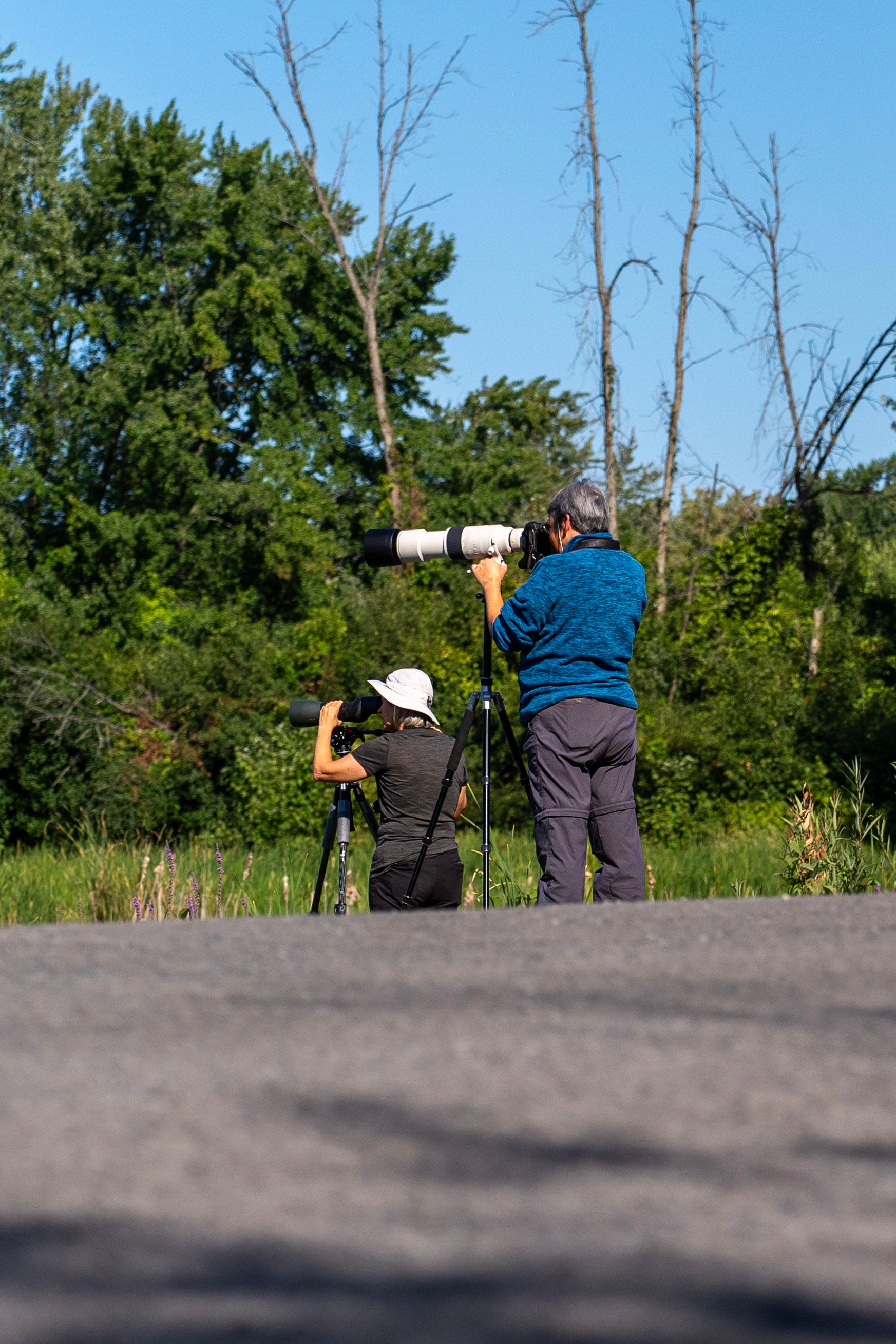 Nature Photographers Capturing Wildlife in Forest · Free Stock Photo