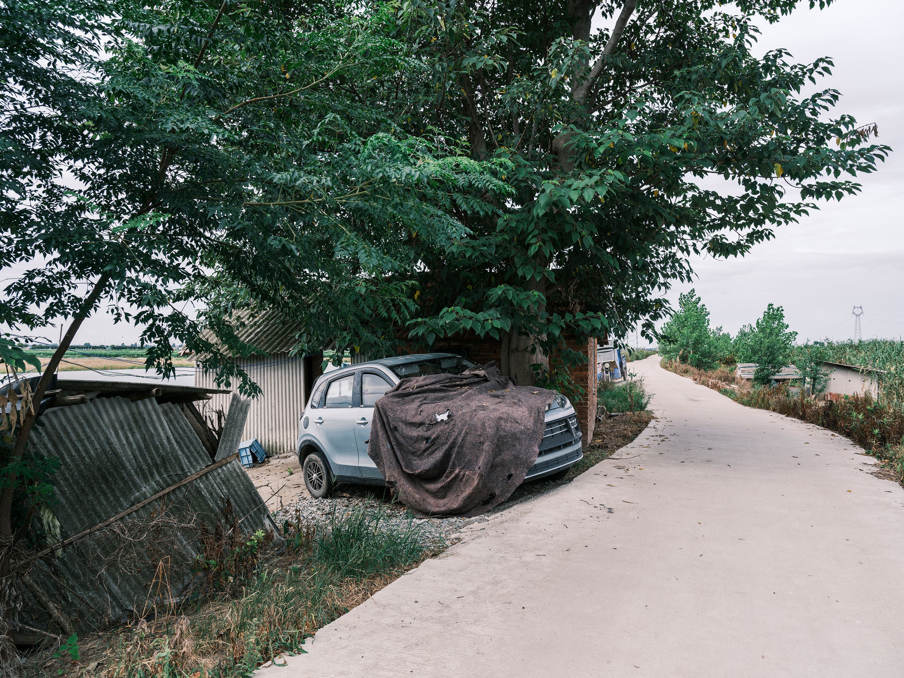 Abandoned Car Under Tree on Rural Roadside · Free Stock Photo