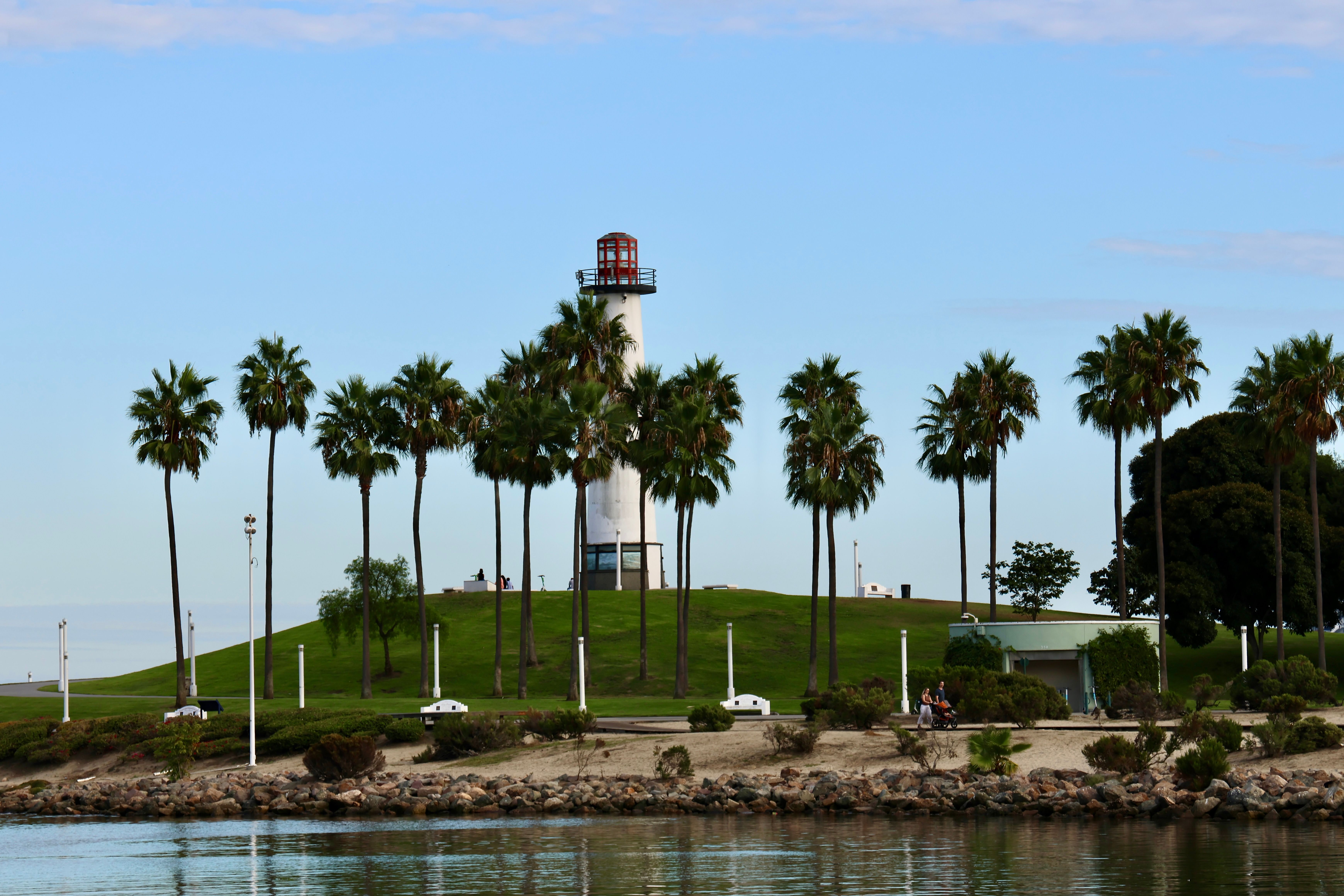 Long Beach Lighthouse and Palm Trees Scenery · Free Stock Photo