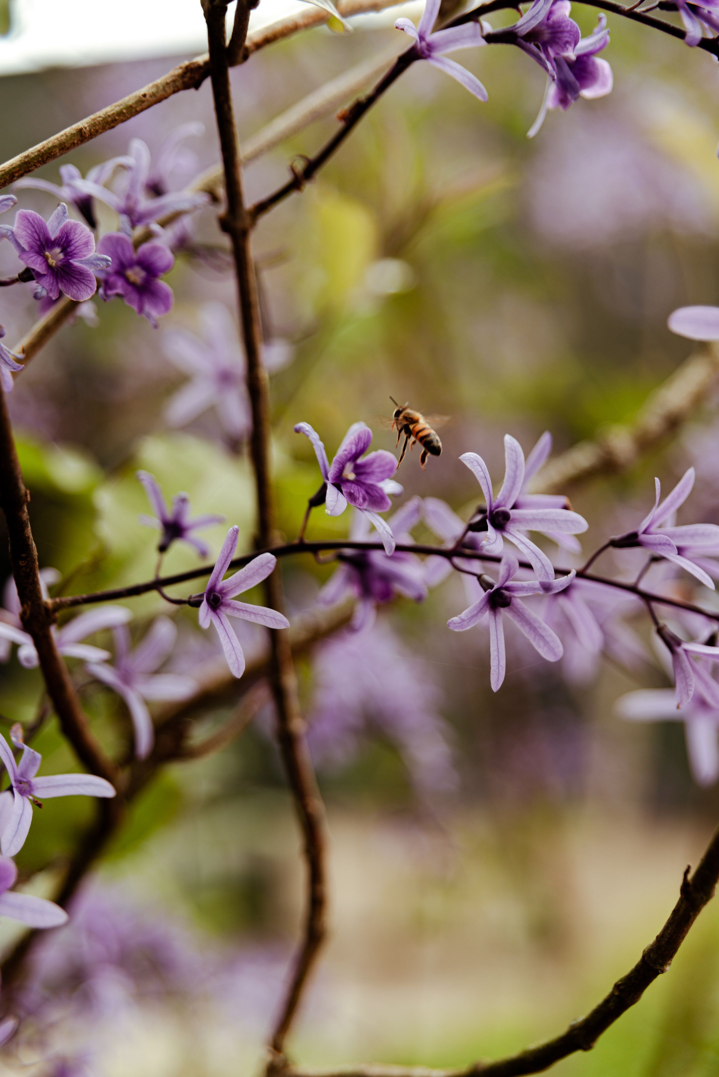 Mom+Insect+Tamil Photos, Download The BEST Free Mom+Insect+Tamil Stock ...
