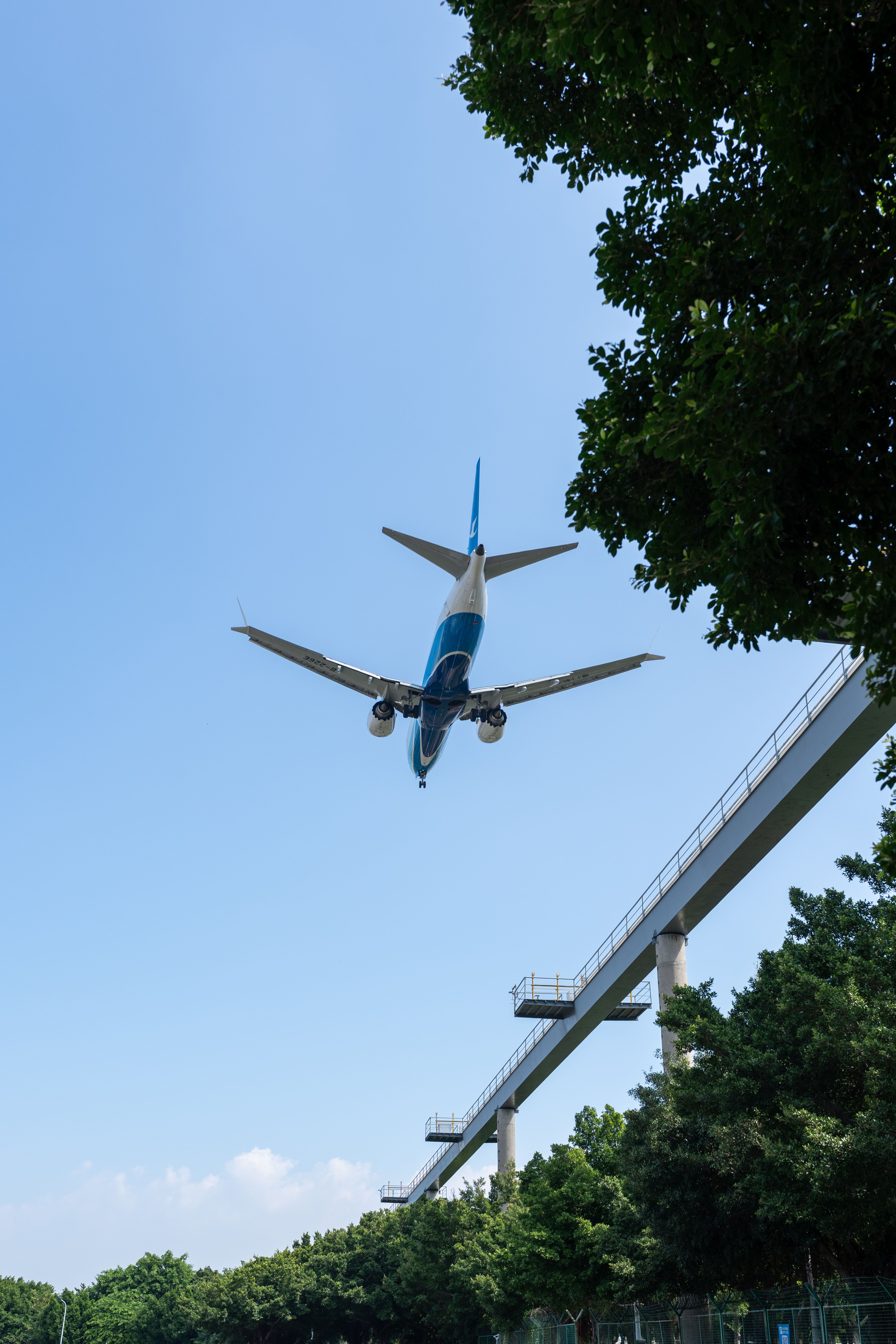 Airplane Flying Over Trees and Rail Bridge · Free Stock Photo