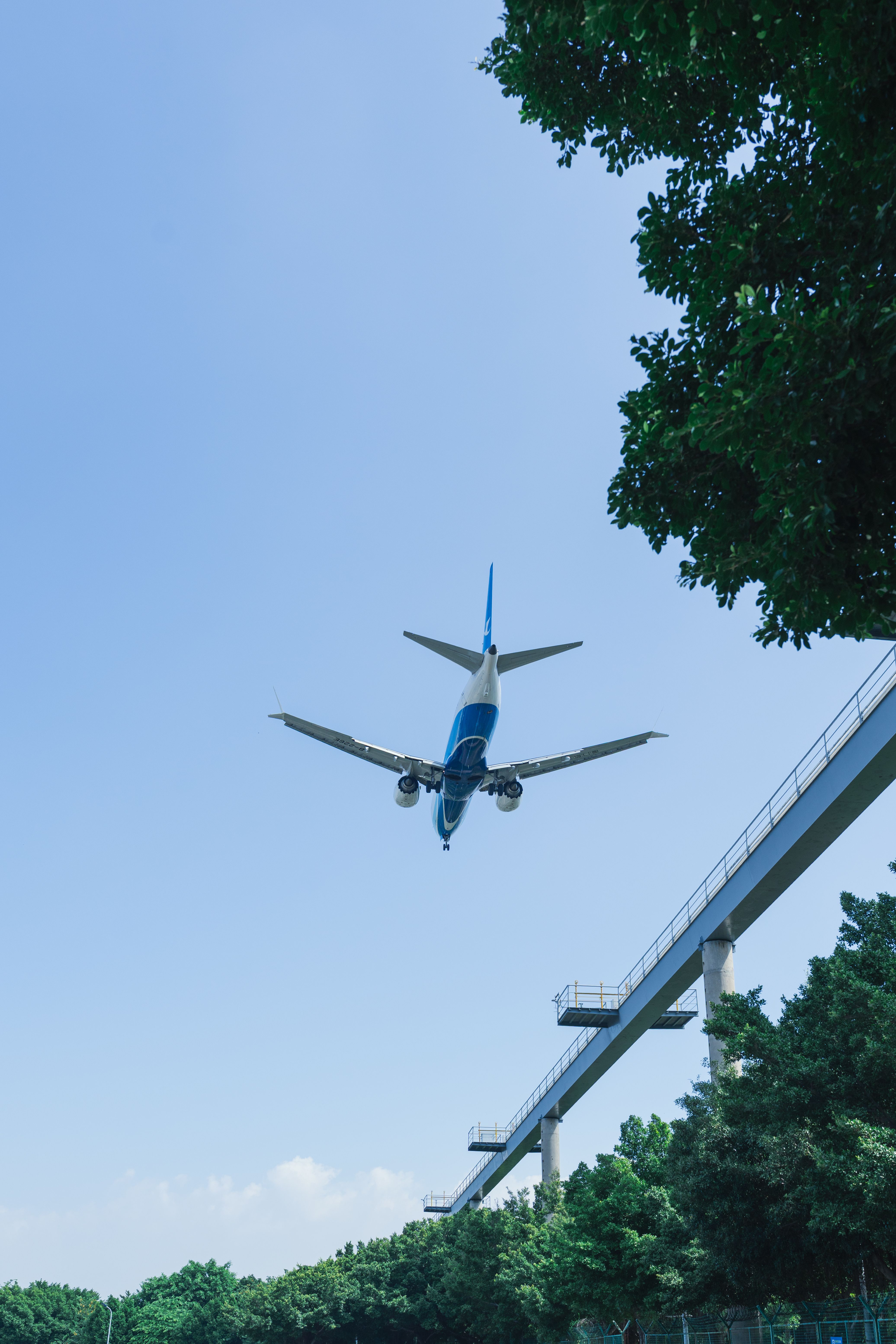 Avion Volant à Basse Altitude Au Dessus D'un Paysage Verdoyant · Photo ...