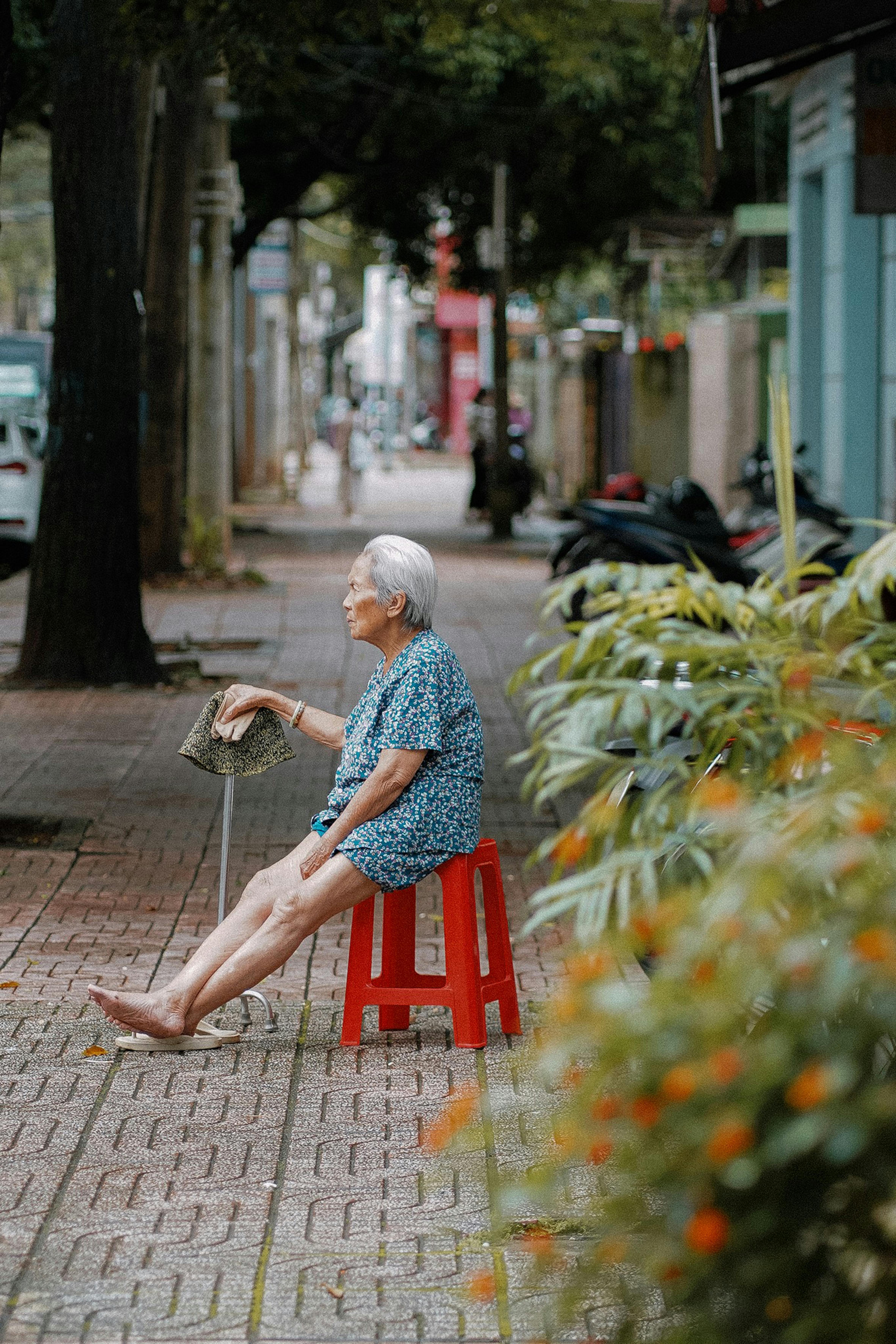 Elderly Care Photos, Download The BEST Free Elderly Care Stock Photos ...