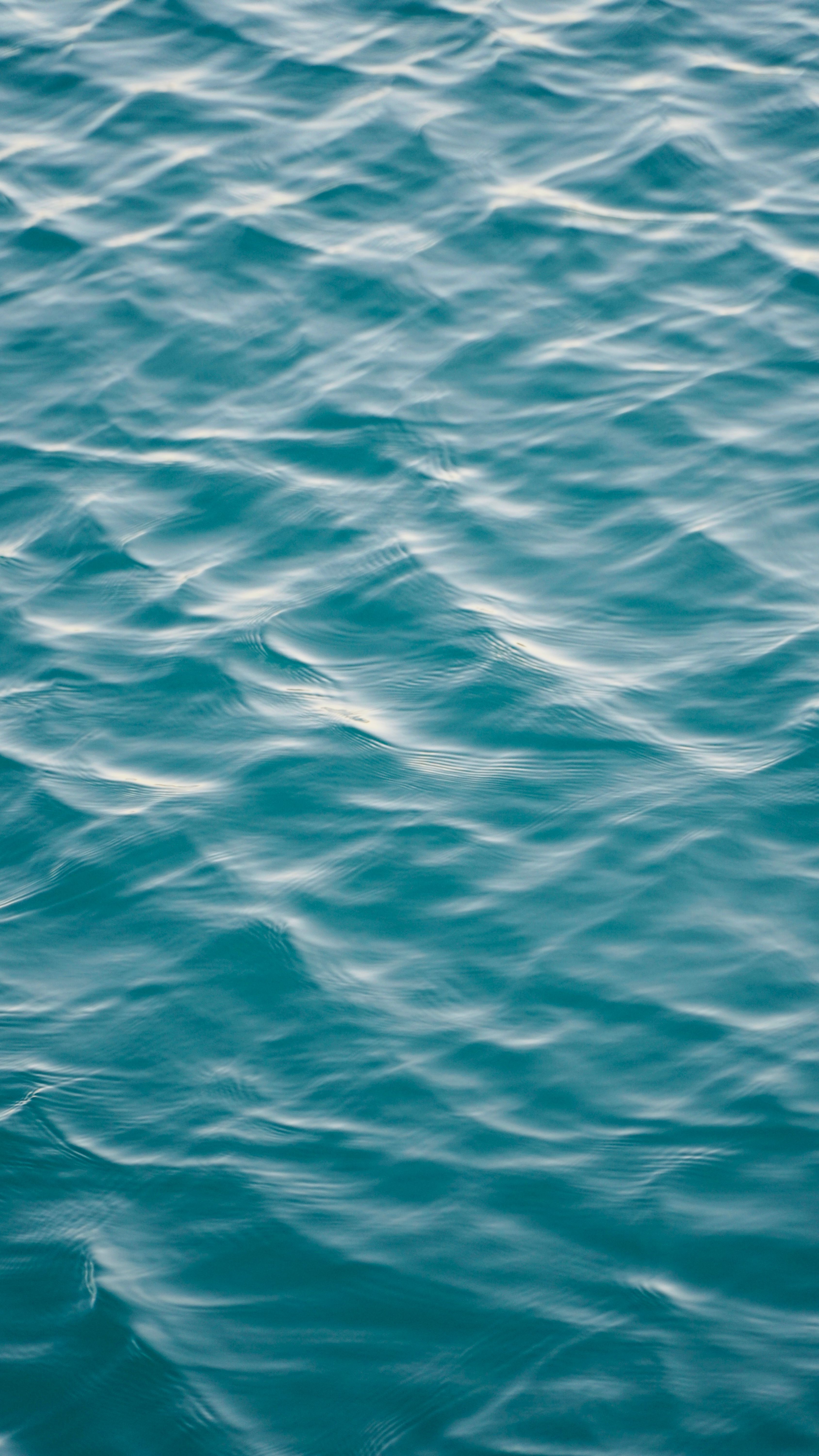 Vertex Background Photos, Download The BEST Free Vertex Background ...