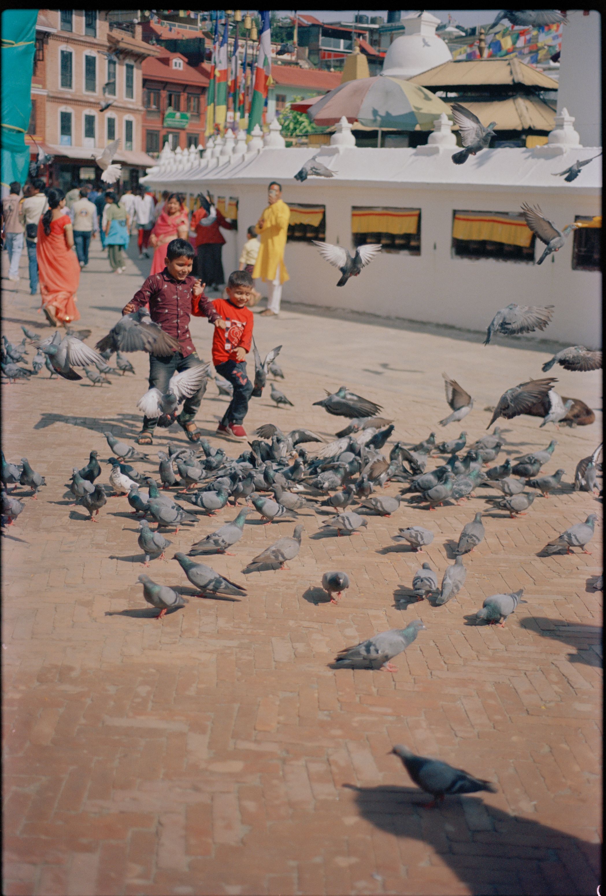 Children Feeding Pigeons in Bustling Square · Free Stock Photo