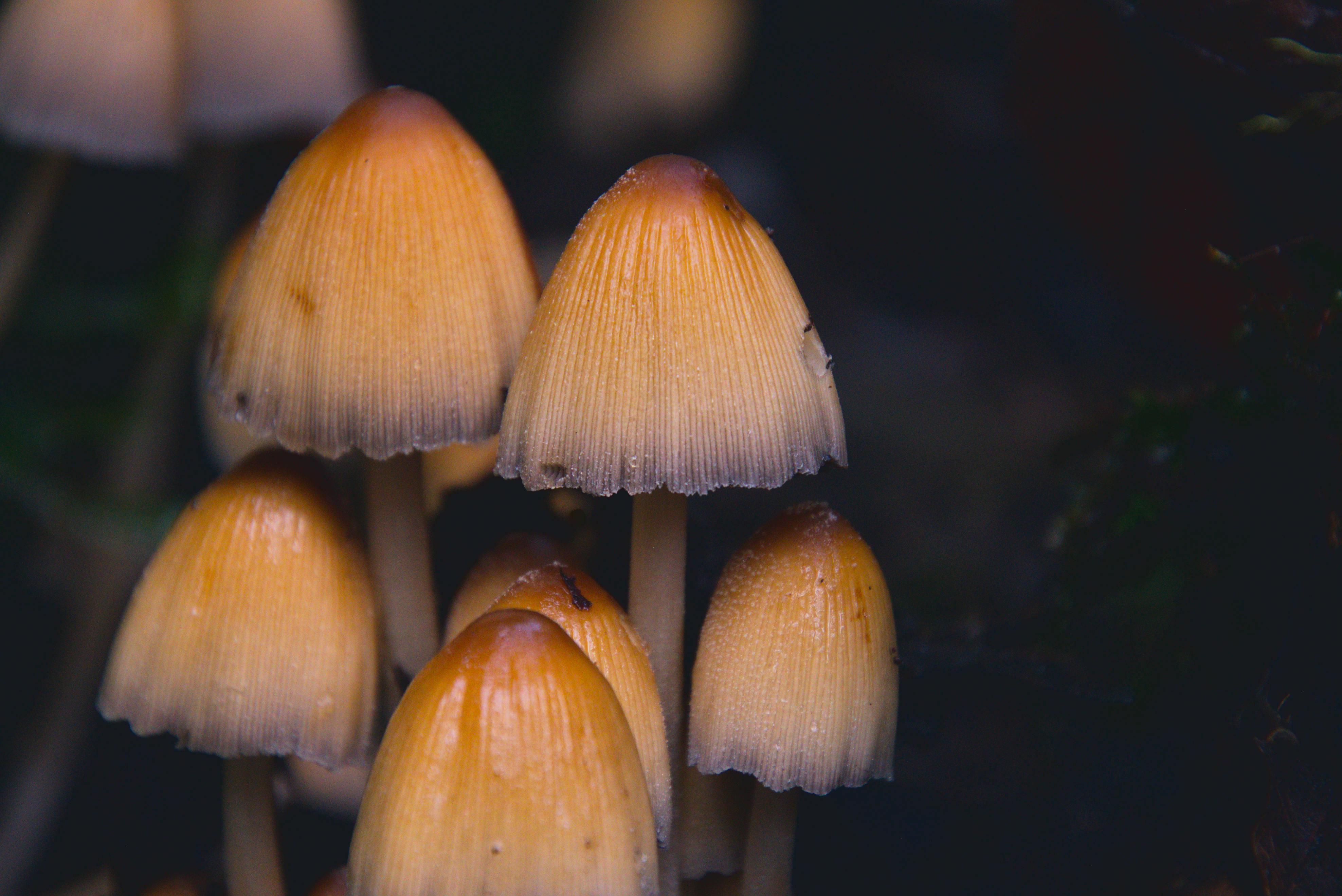 Damp+Lips. Photos, Download The BEST Free Damp+Lips. Stock Photos & HD ...